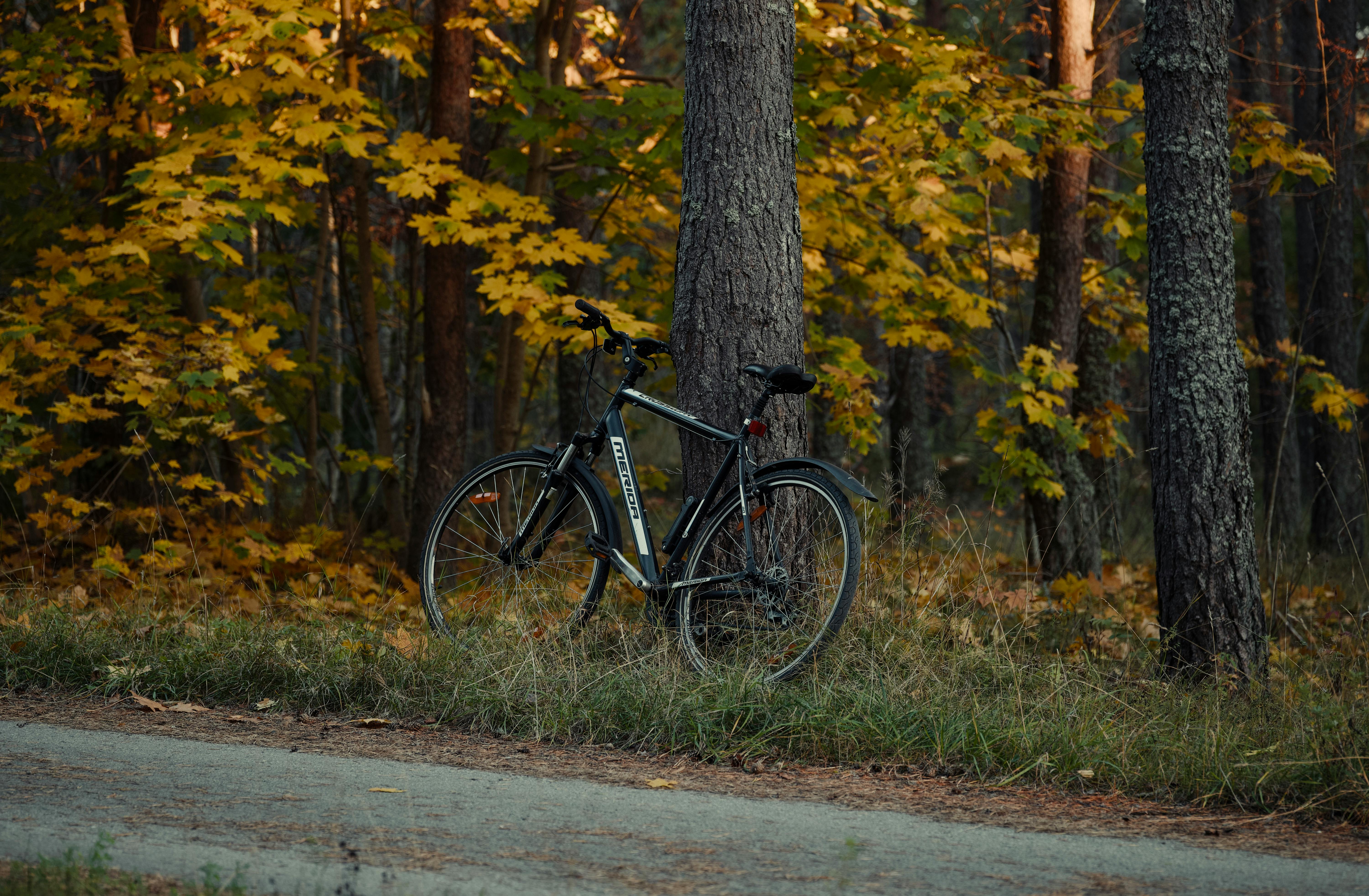 Gun+Park+Wallpaper Photos, Download The BEST Free Gun+Park+Wallpaper ...