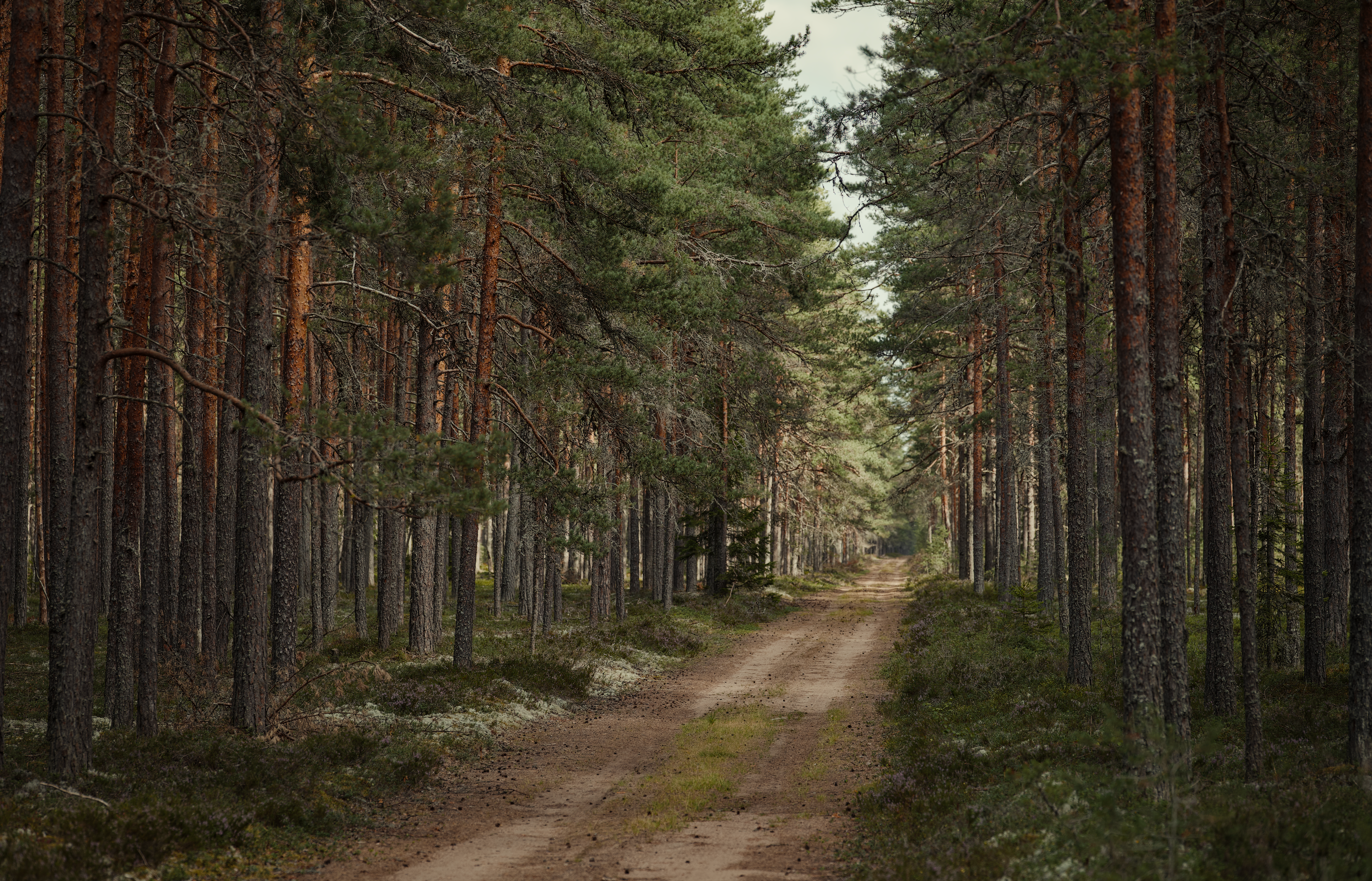 Road+Ravage Photos, Download The BEST Free Road+Ravage Stock Photos ...