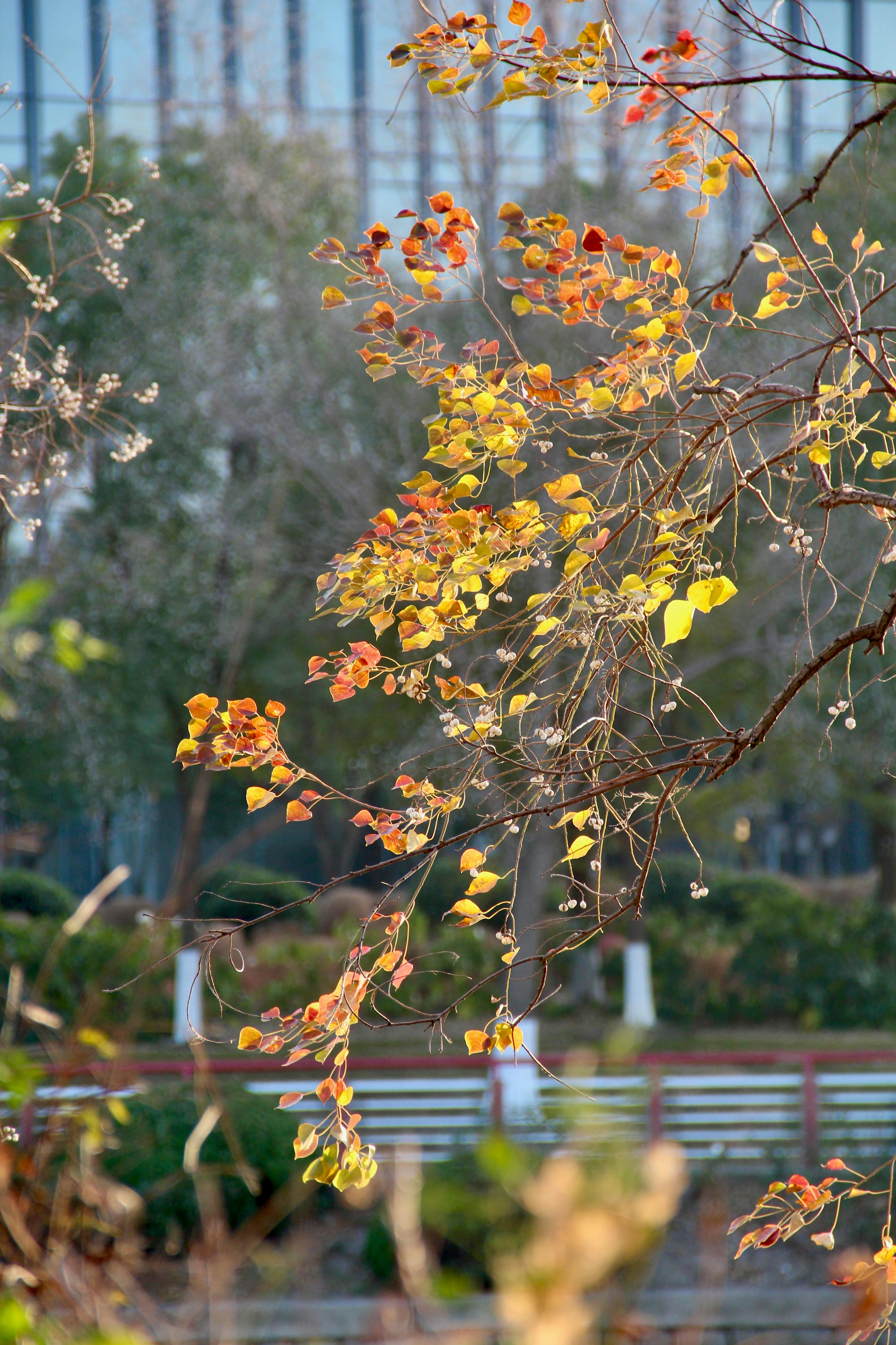 Gun+Park+Wallpaper Photos, Download The BEST Free Gun+Park+Wallpaper ...