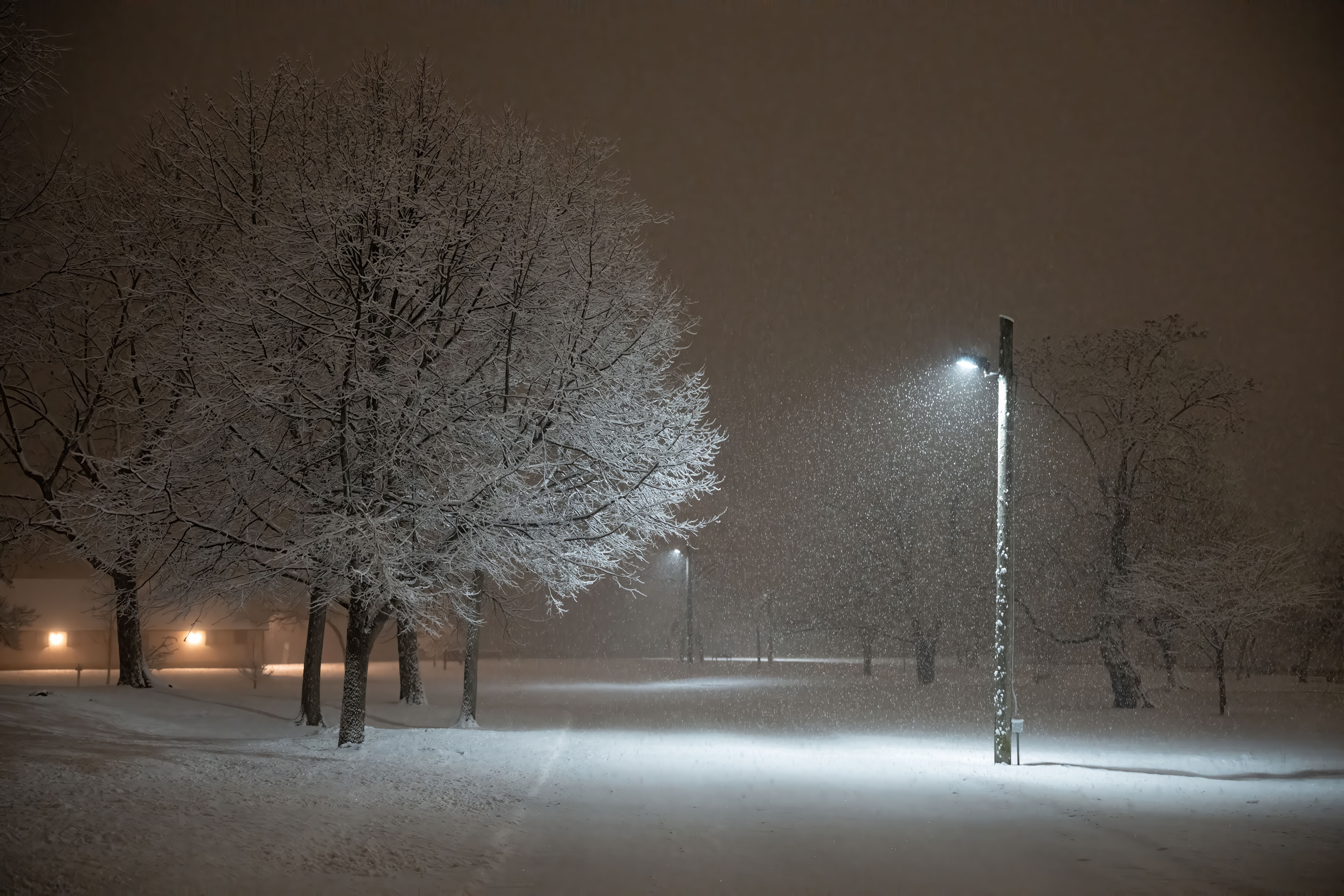 Snowy Winter Night in Stamford Park · Free Stock Photo