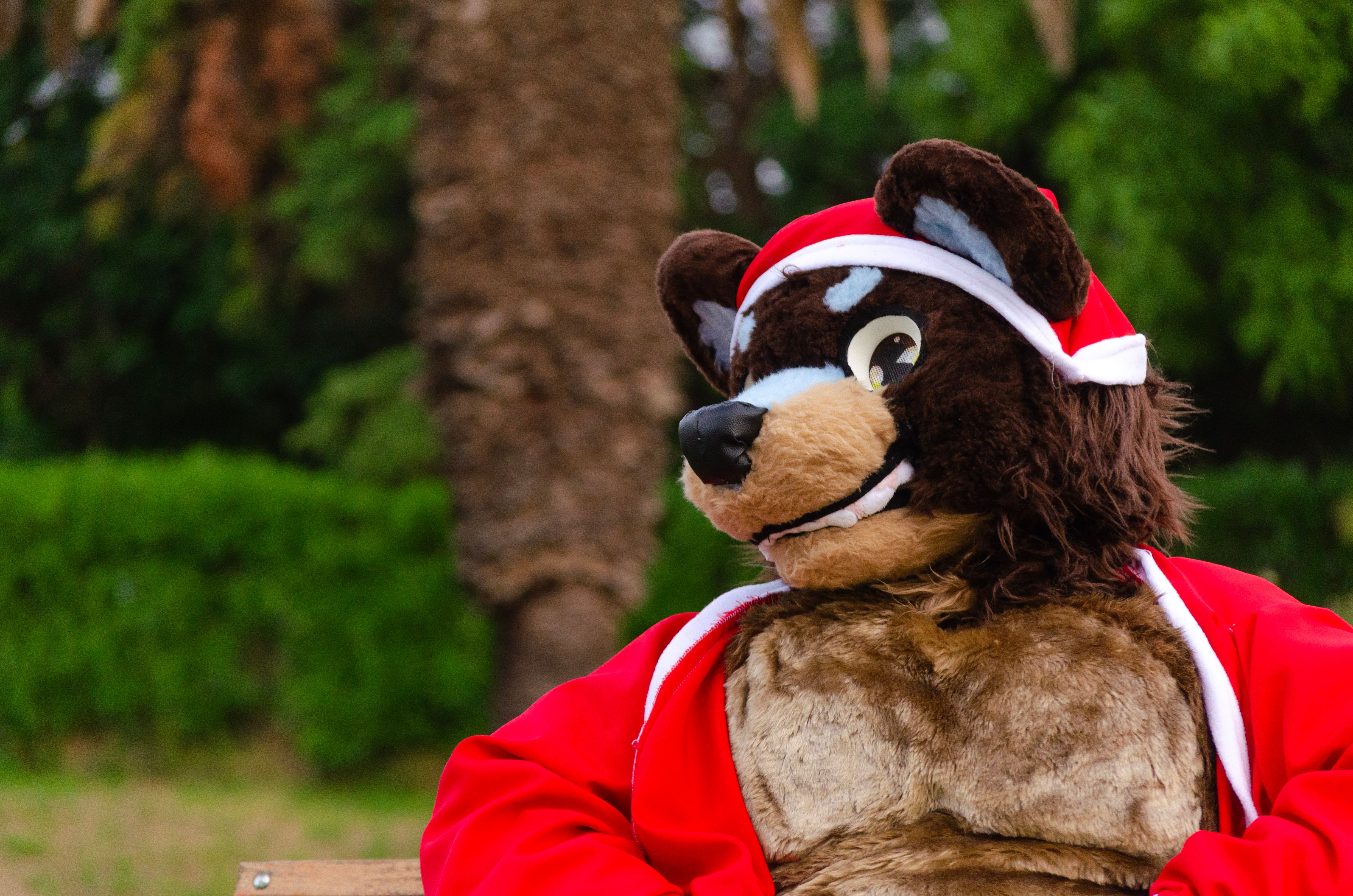 Furry Character in Santa Costume Outdoors · Free Stock Photo