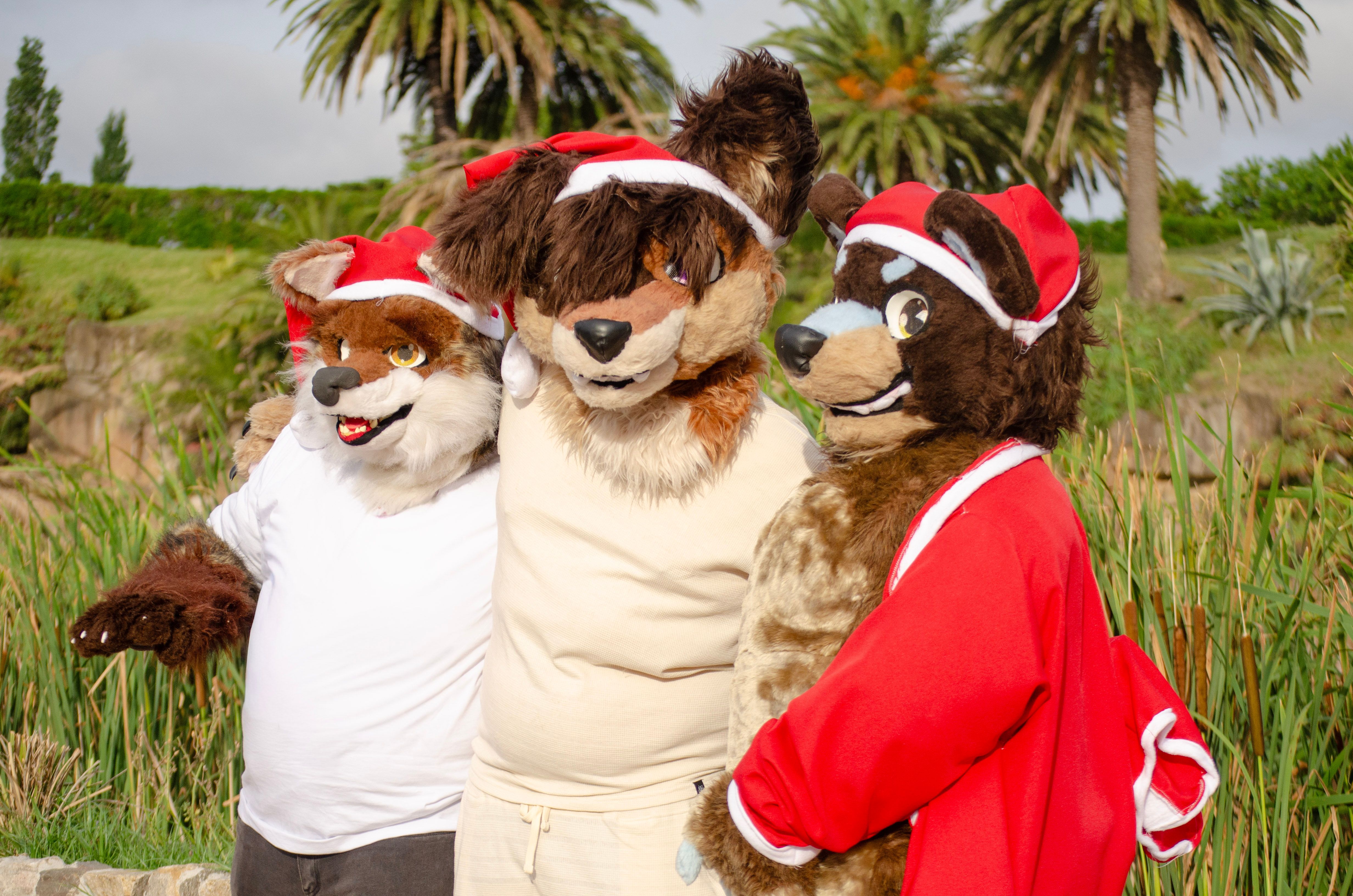 Furry Friends Celebrate in Santa Hats Outdoors · Free Stock Photo