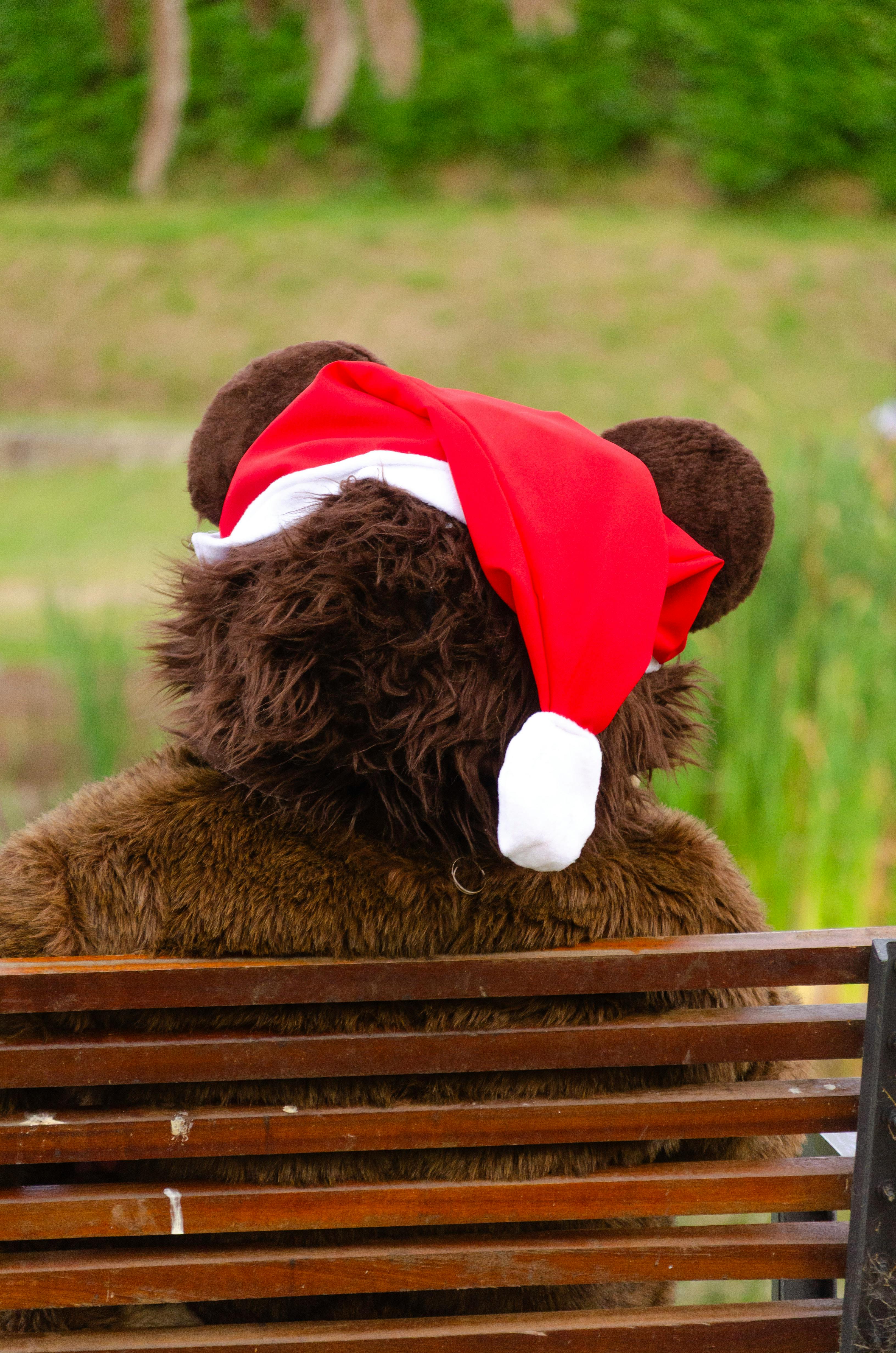 Xbox Pfp Funny Photos, Download The BEST Free Xbox Pfp Funny Stock ...