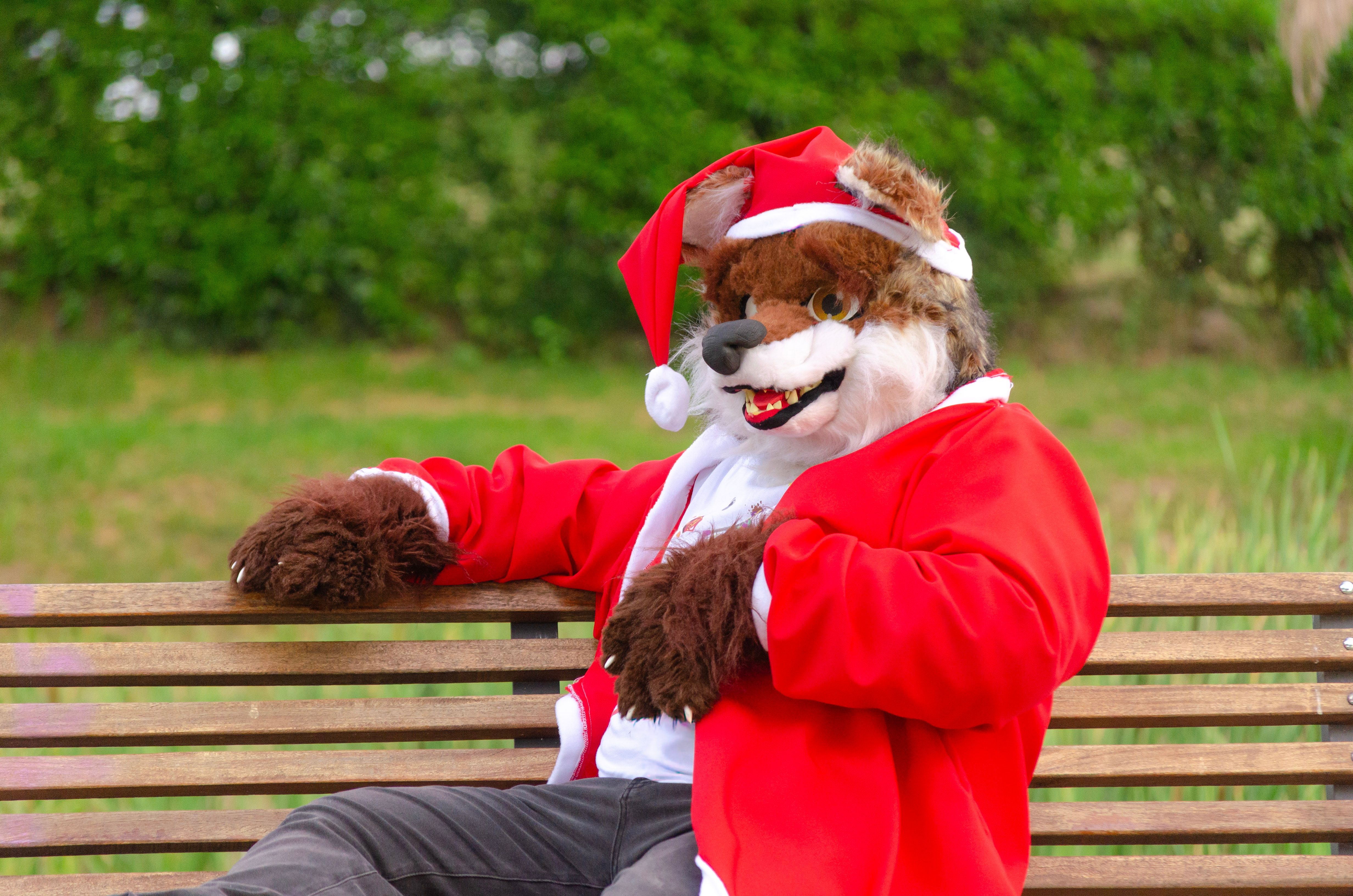 Person in Furry Costume with Santa Hat on Park Bench · Free Stock Photo