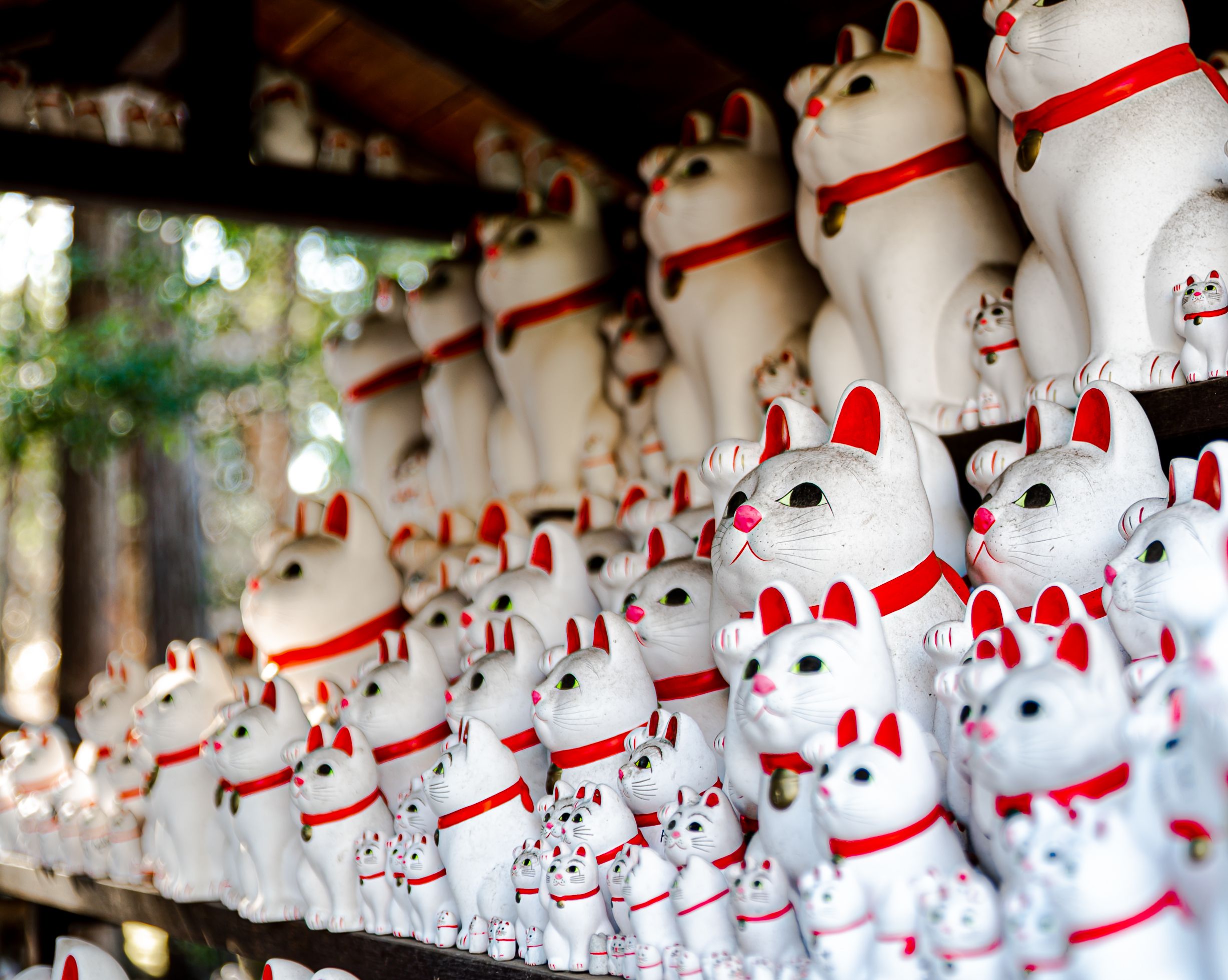 Maneki Neko Statues at Gotokuji Temple in Tokyo · Free Stock Photo