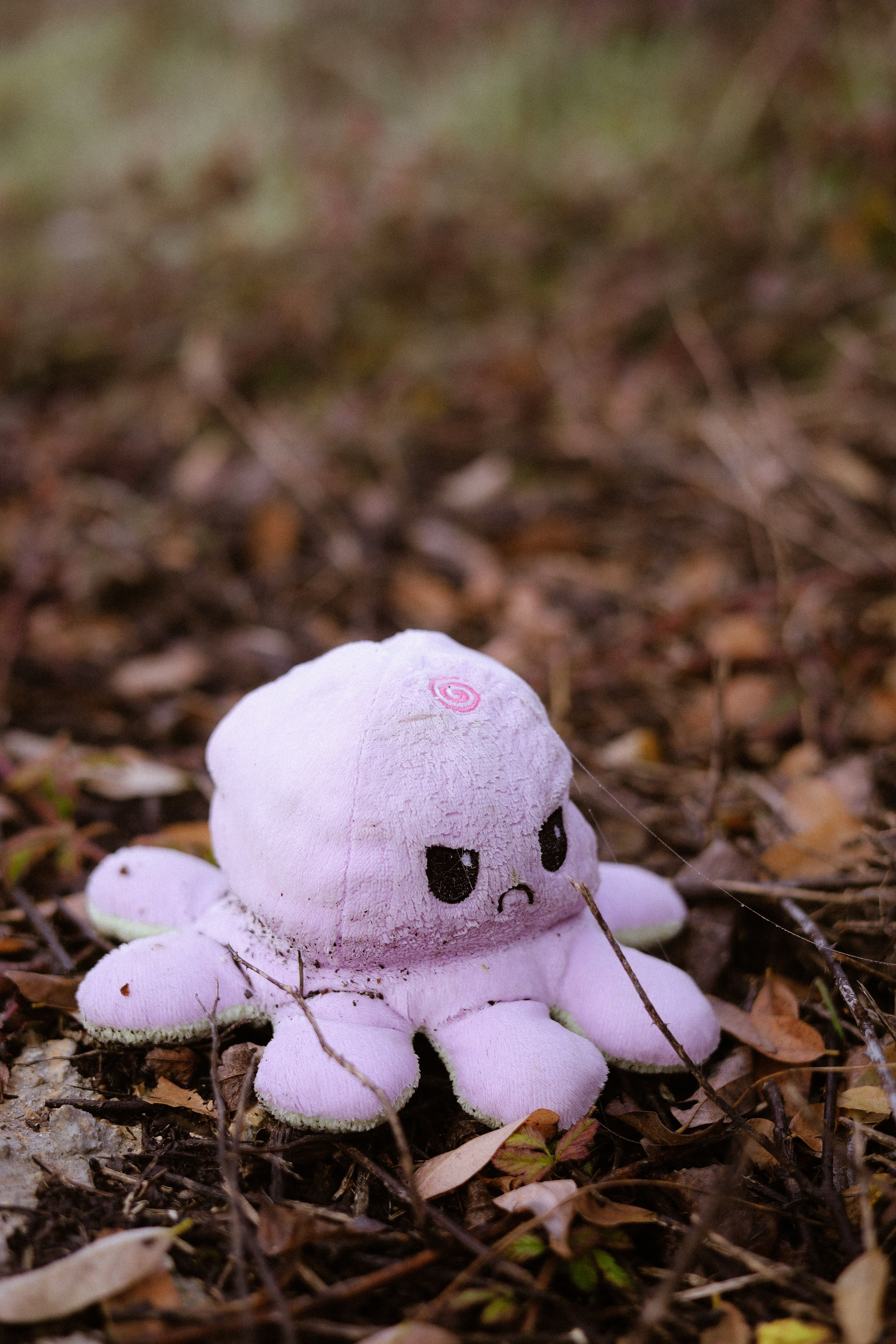 Kawaii Cute Photos, Download The BEST Free Kawaii Cute Stock Photos ...