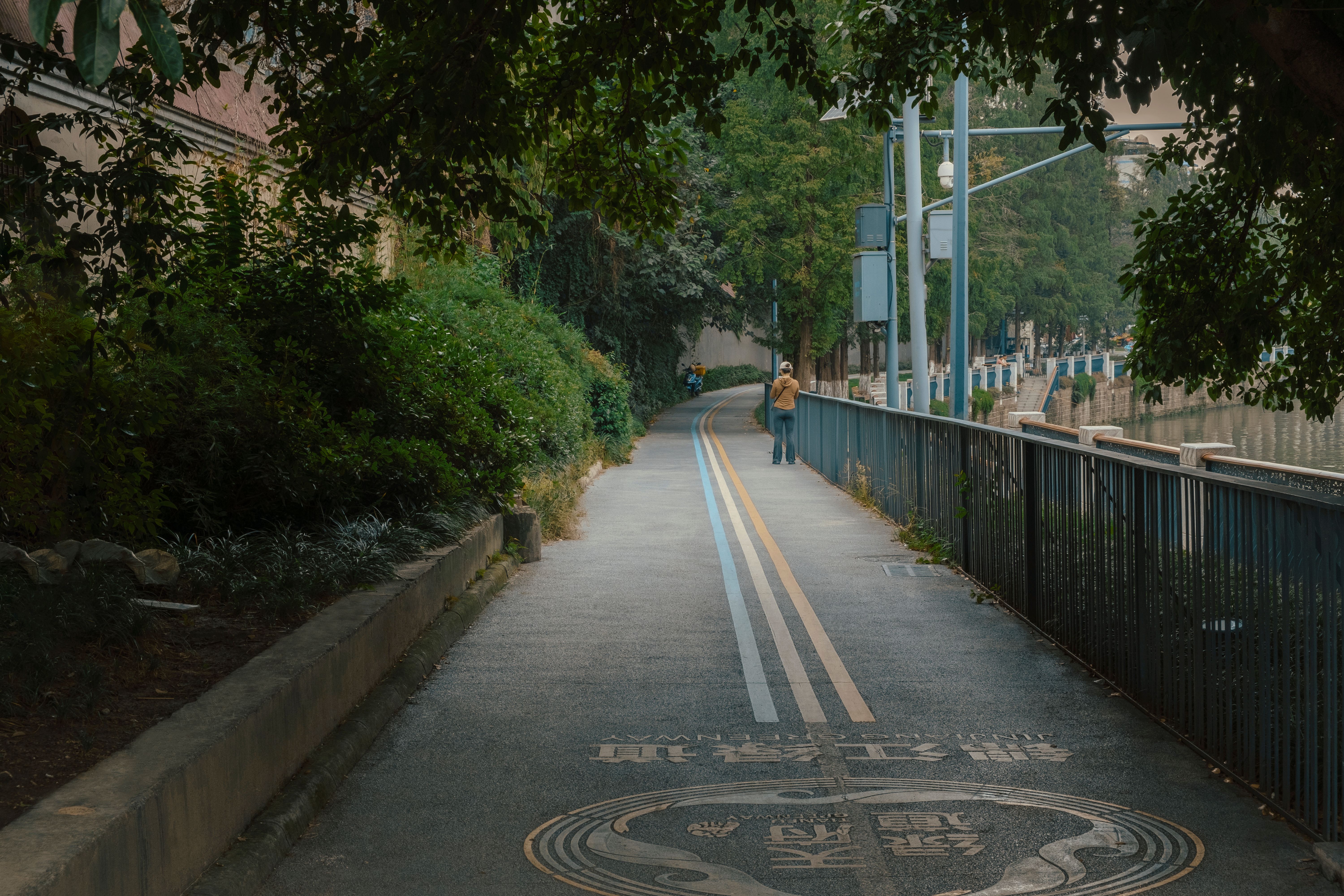 Scenic Riverside Pathway with Green Foliage · Free Stock Photo