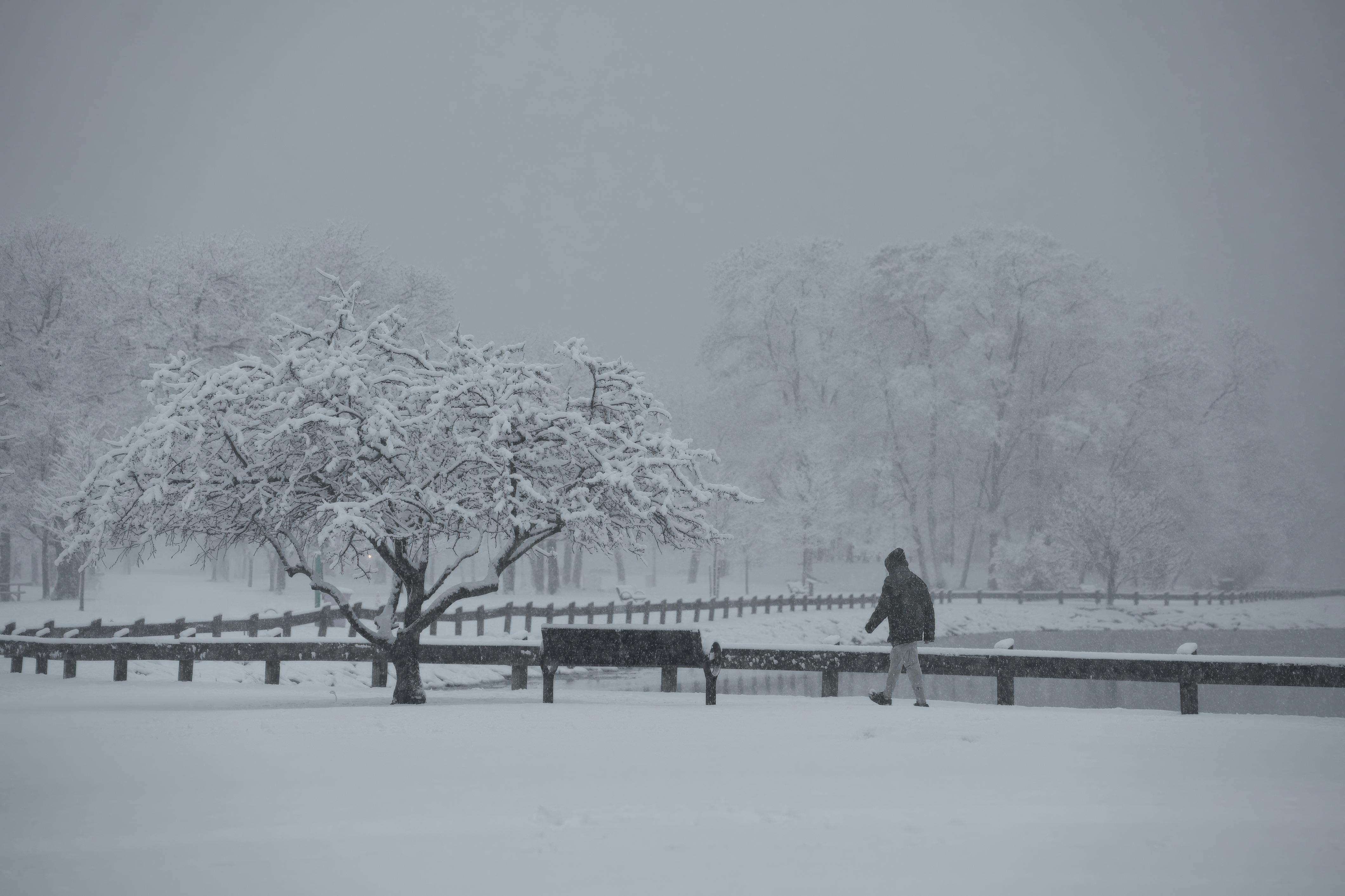 Freezing Photos, Download The BEST Free Freezing Stock Photos & HD Images