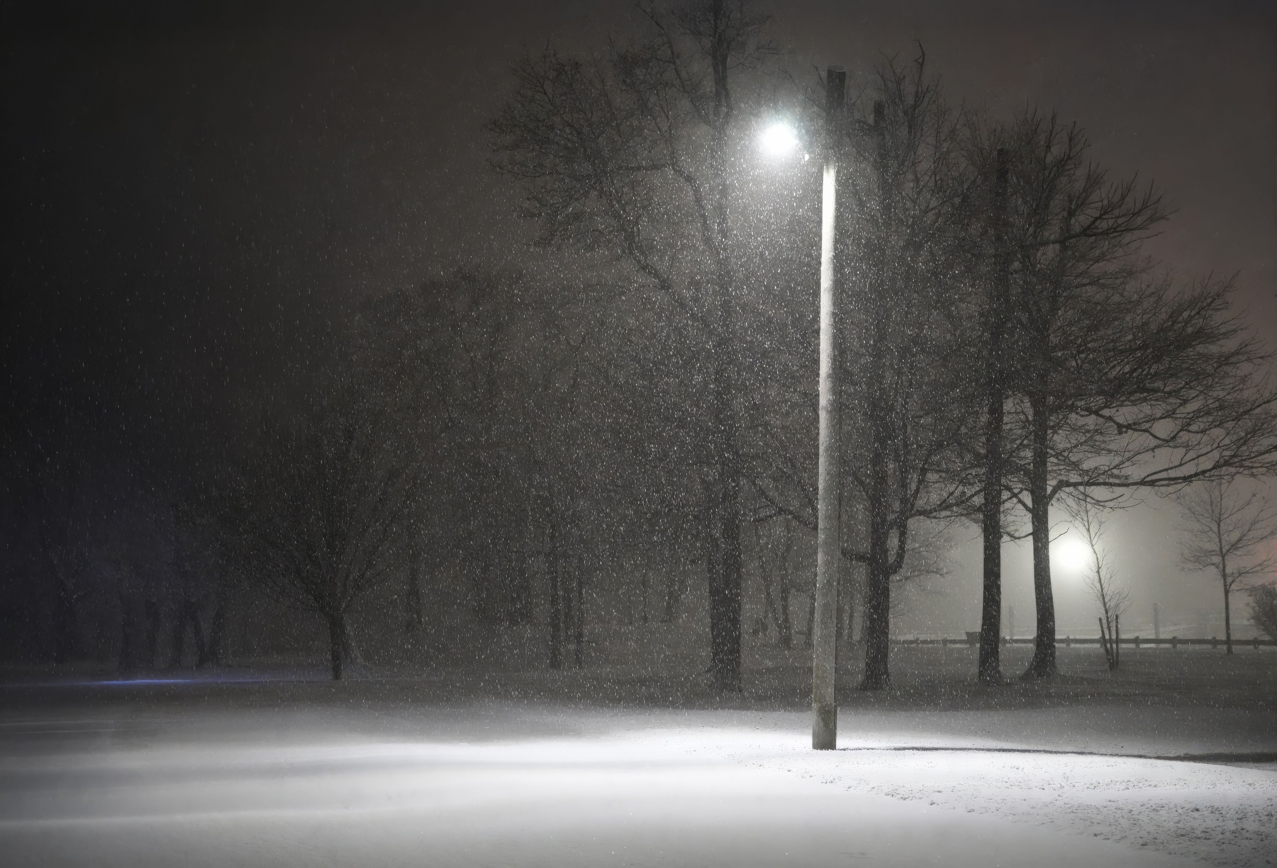 Serene Snowy Night with Street Lamp Illumination · Free Stock Photo