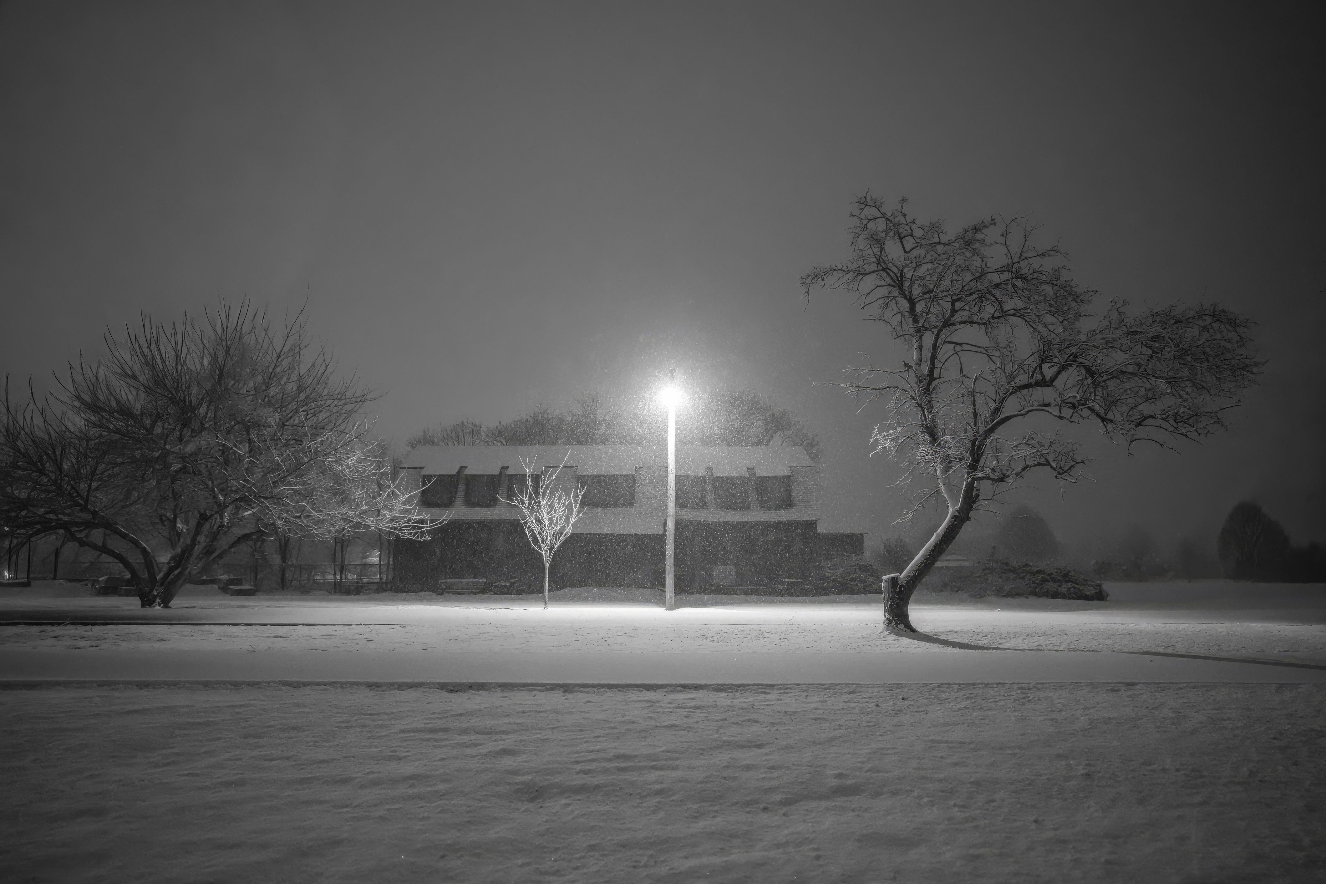 Snow Night Photos, Download The BEST Free Snow Night Stock Photos & HD ...