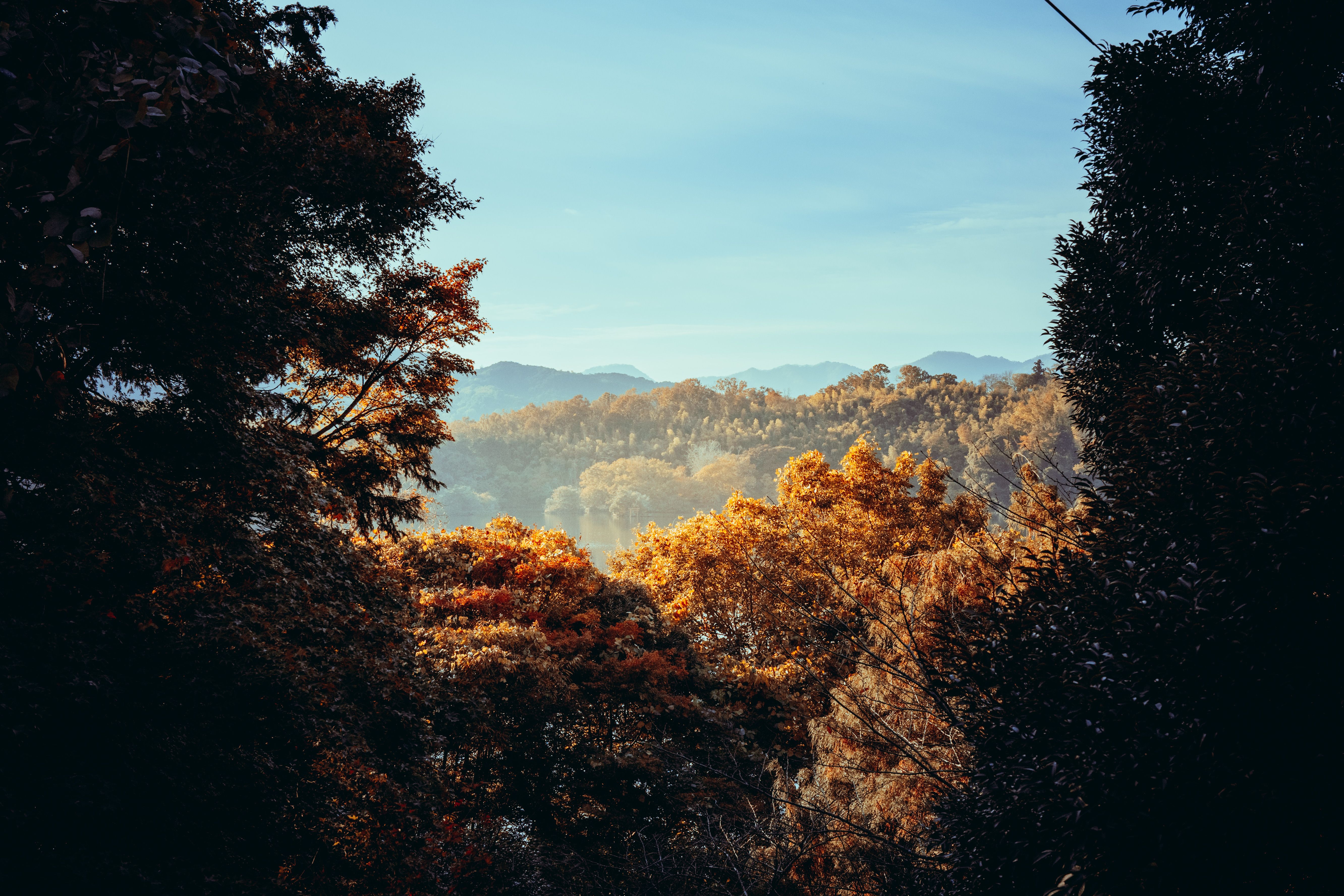 Stunning Autumn Landscape in Itō, Japan · Free Stock Photo