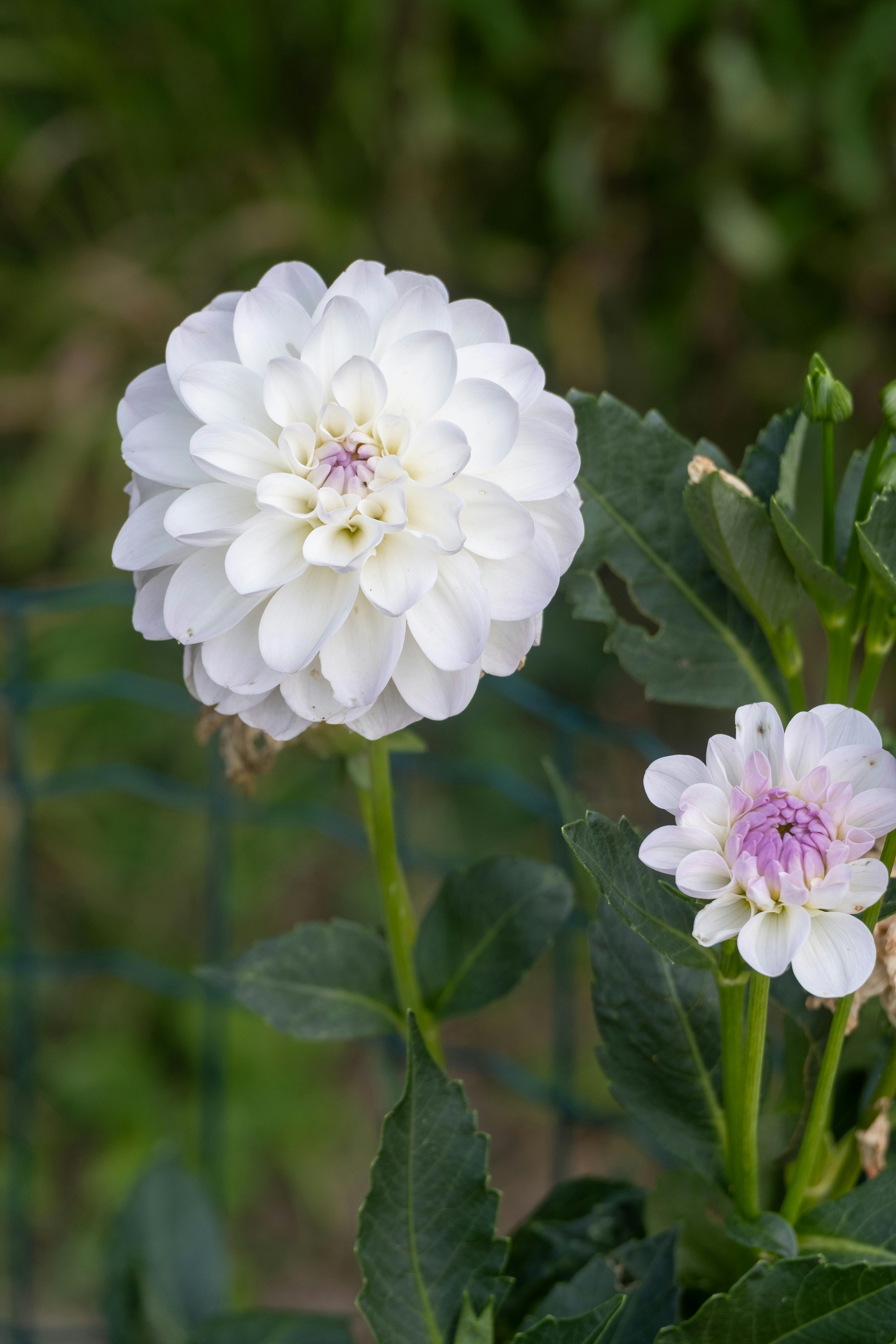 Outside Photos, Download The BEST Free Outside Stock Photos & HD Images