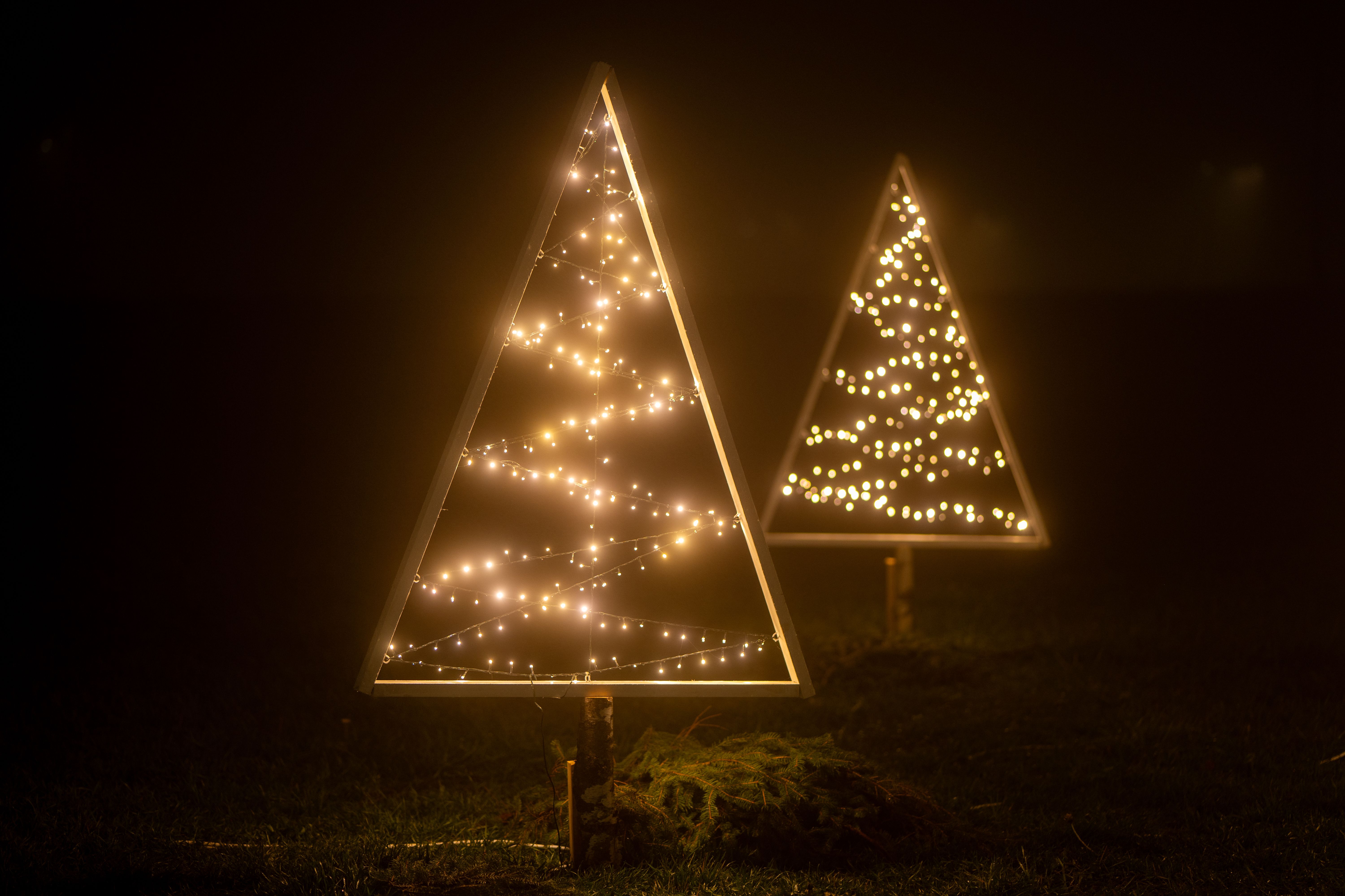 Glowing Triangle Christmas Trees in Foggy Night · Free Stock Photo