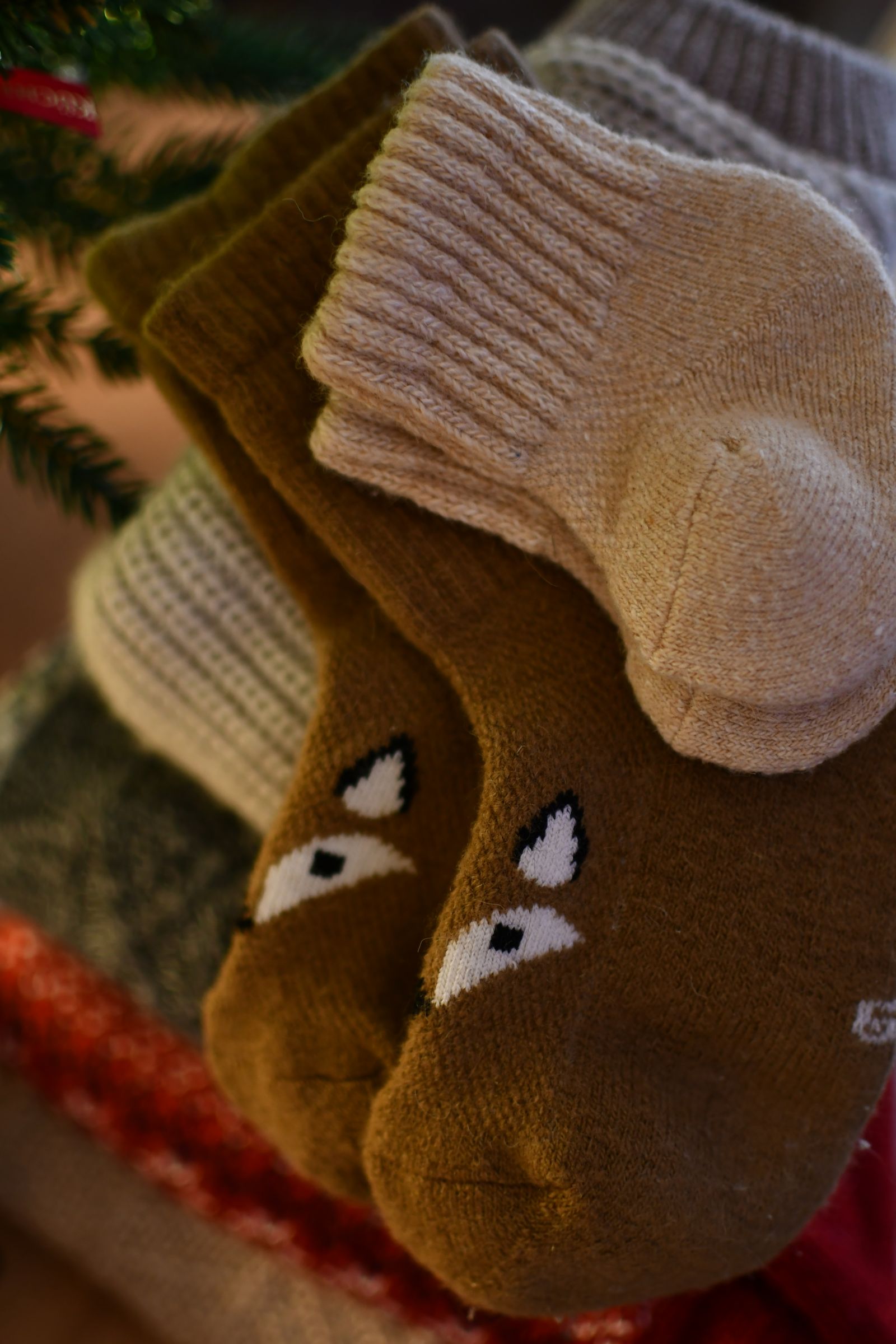 Sock Photos, Download The BEST Free Sock Stock Photos & HD Images