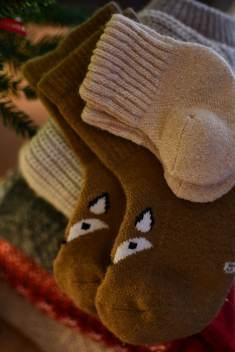 Sock Photos, Download The BEST Free Sock Stock Photos & HD Images