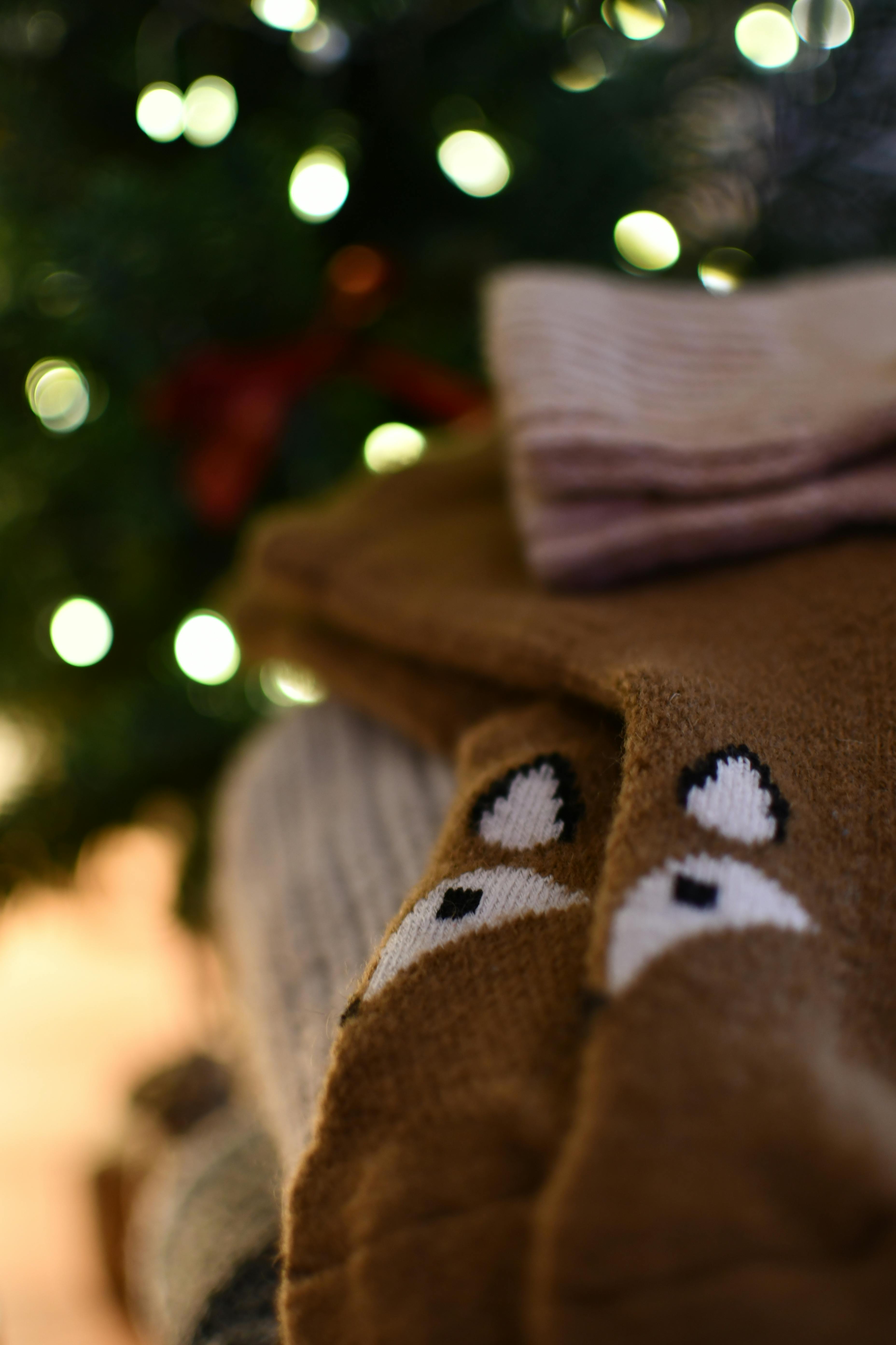 Christmas House Photos, Download The BEST Free Christmas House Stock ...