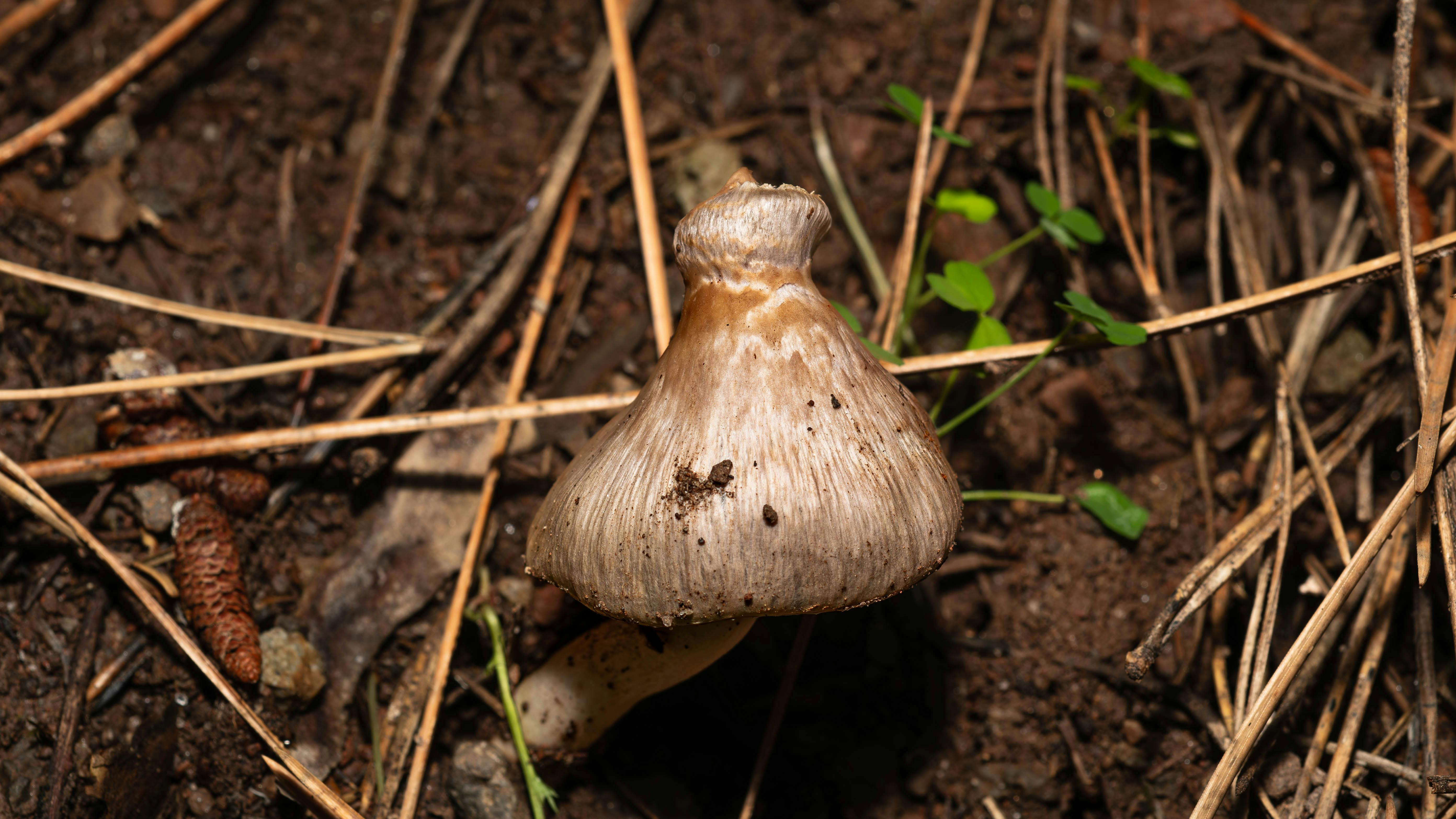 Outside Photos, Download The BEST Free Outside Stock Photos & HD Images