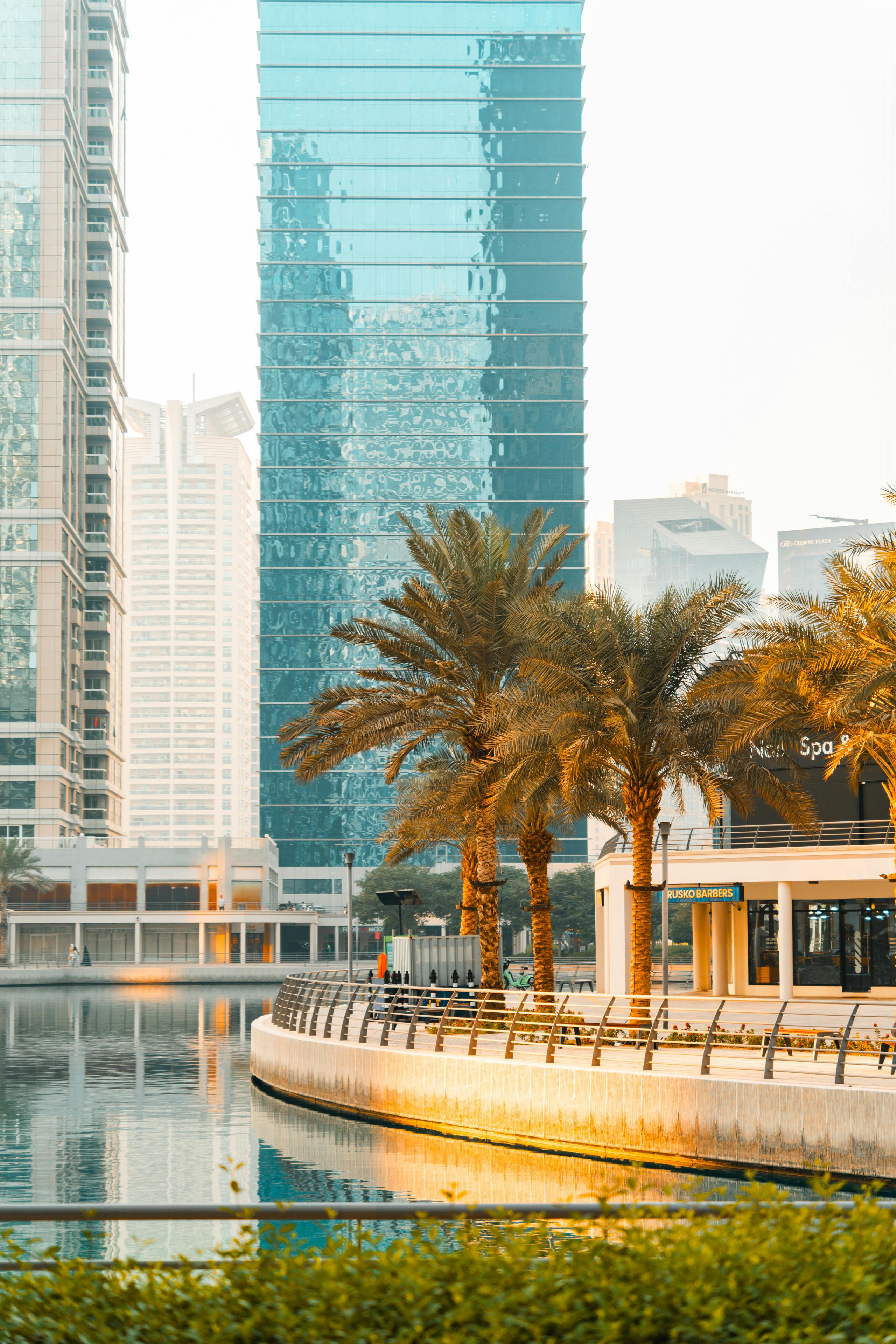 Real+Gyatt+Pics Photos, Download The BEST Free Real+Gyatt+Pics Stock ...