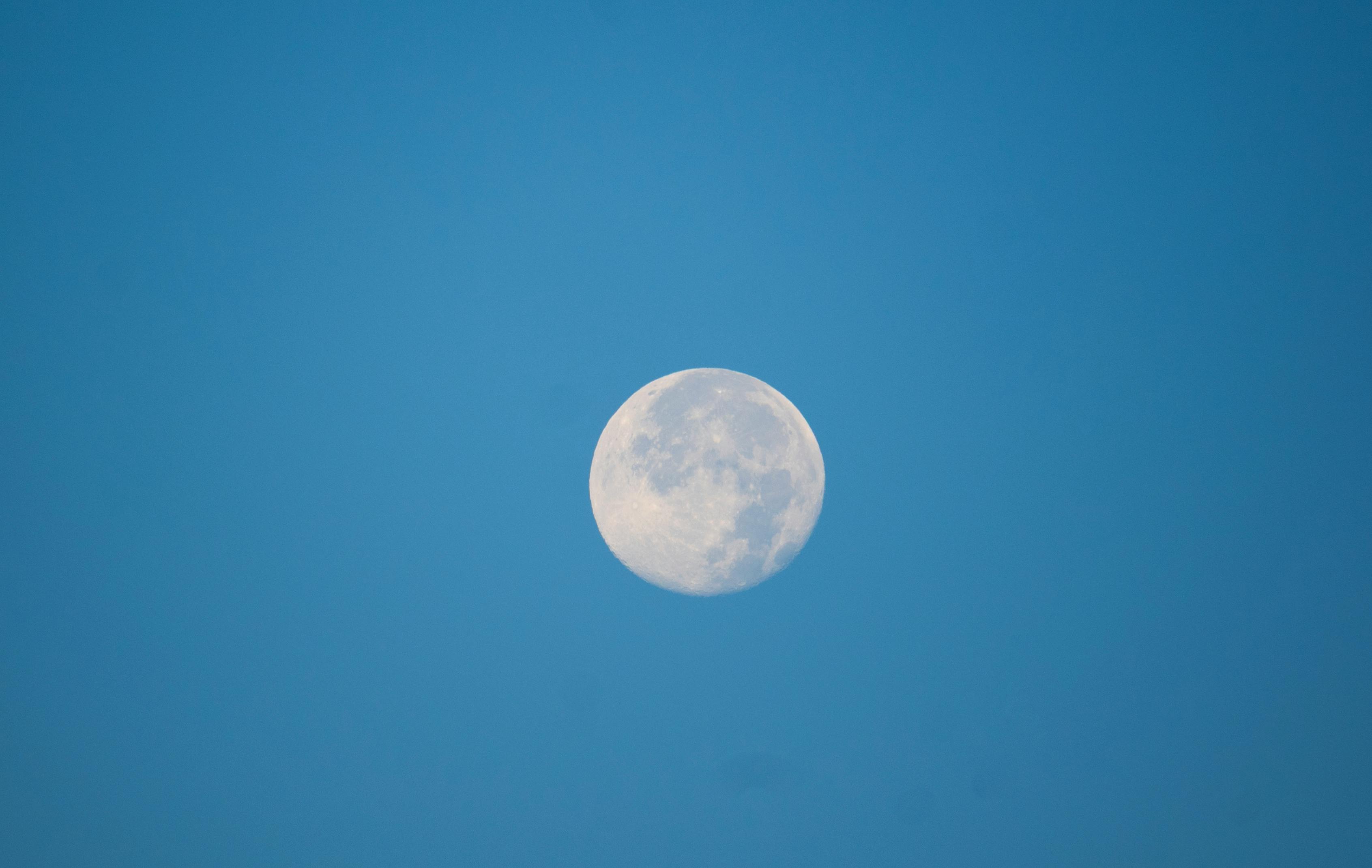 Moon Pfp Photos, Download The BEST Free Moon Pfp Stock Photos & HD Images