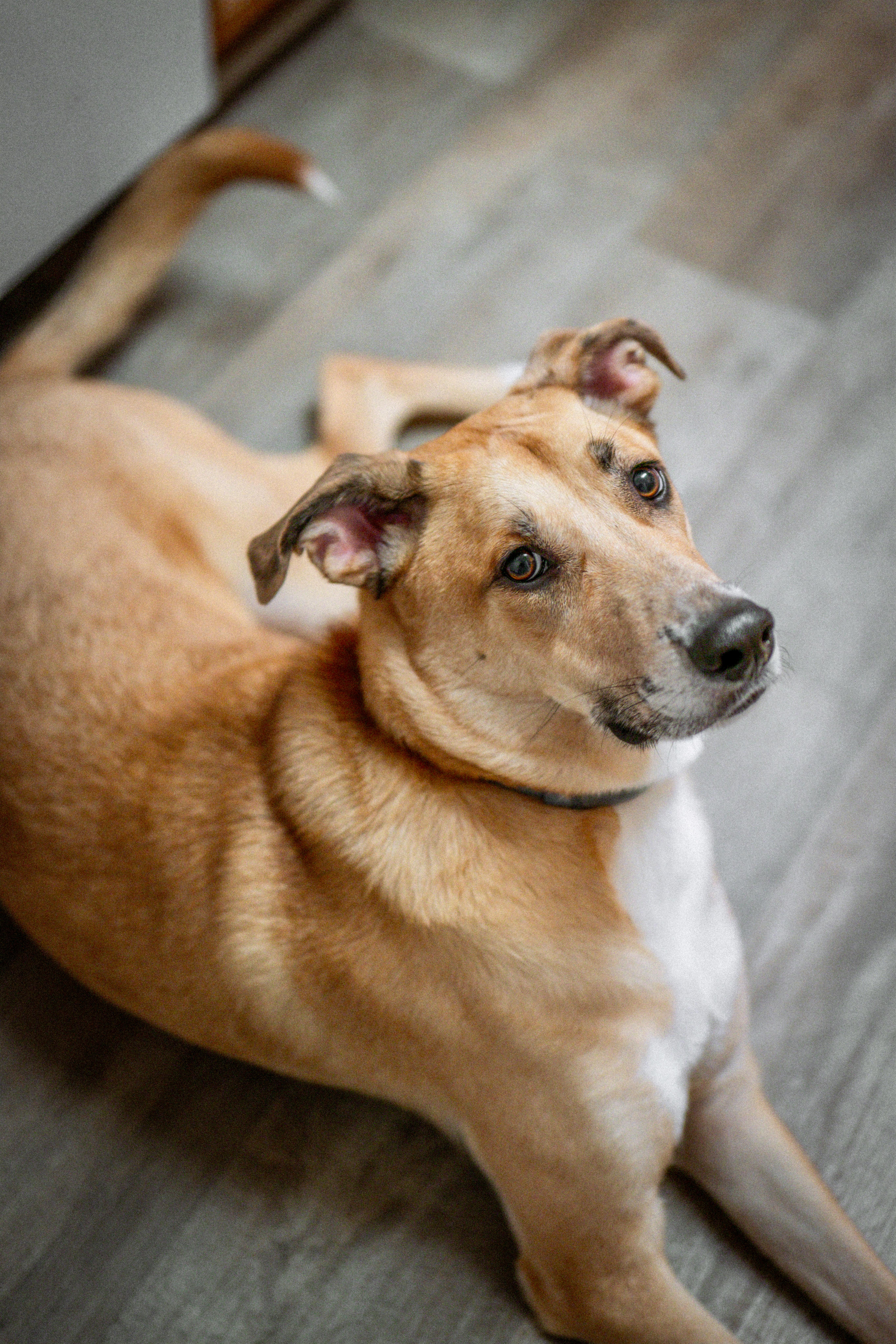 Troll+Images Photos, Download The BEST Free Troll+Images Stock Photos ...