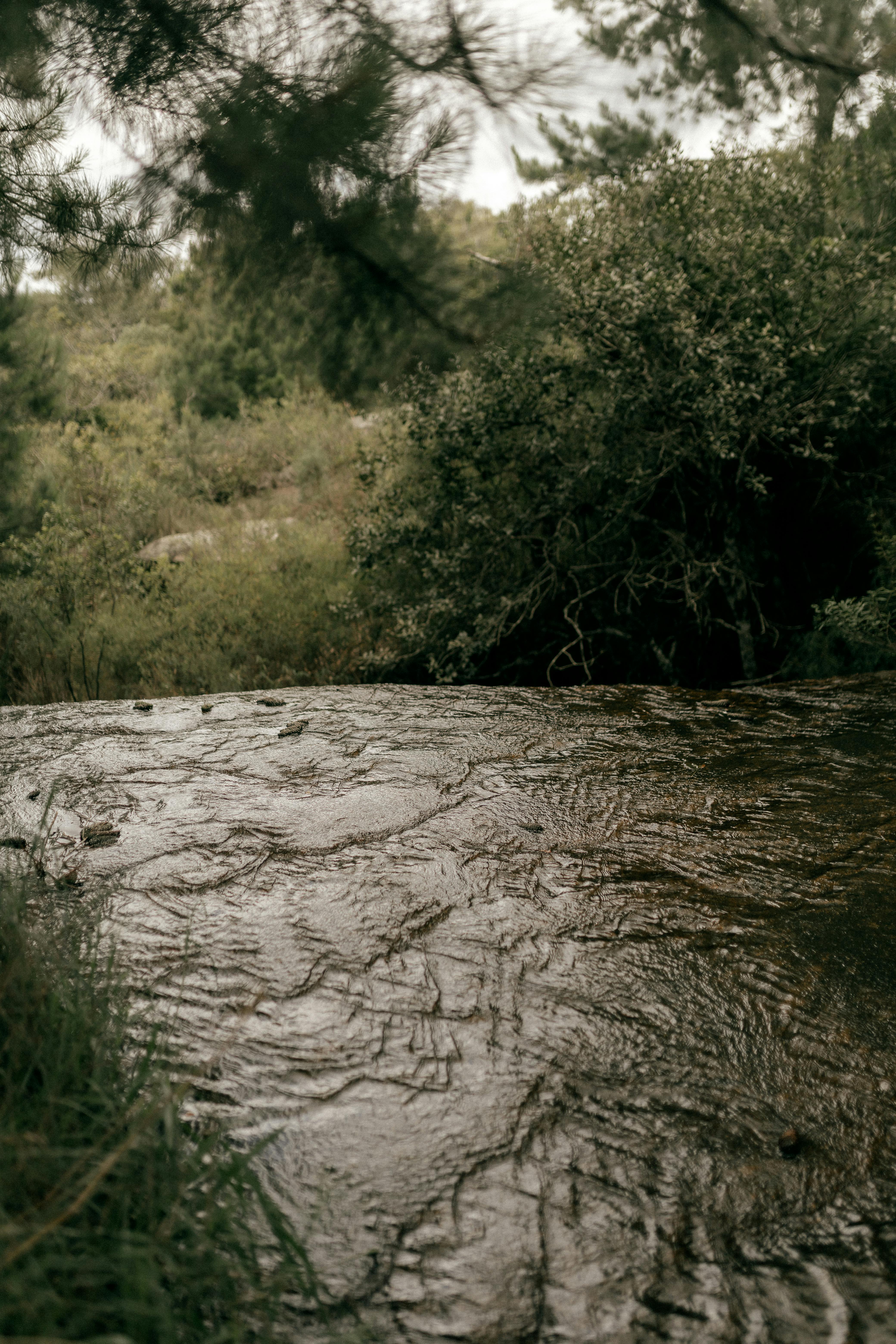 Raw Pixels Photos, Download The BEST Free Raw Pixels Stock Photos & HD ...