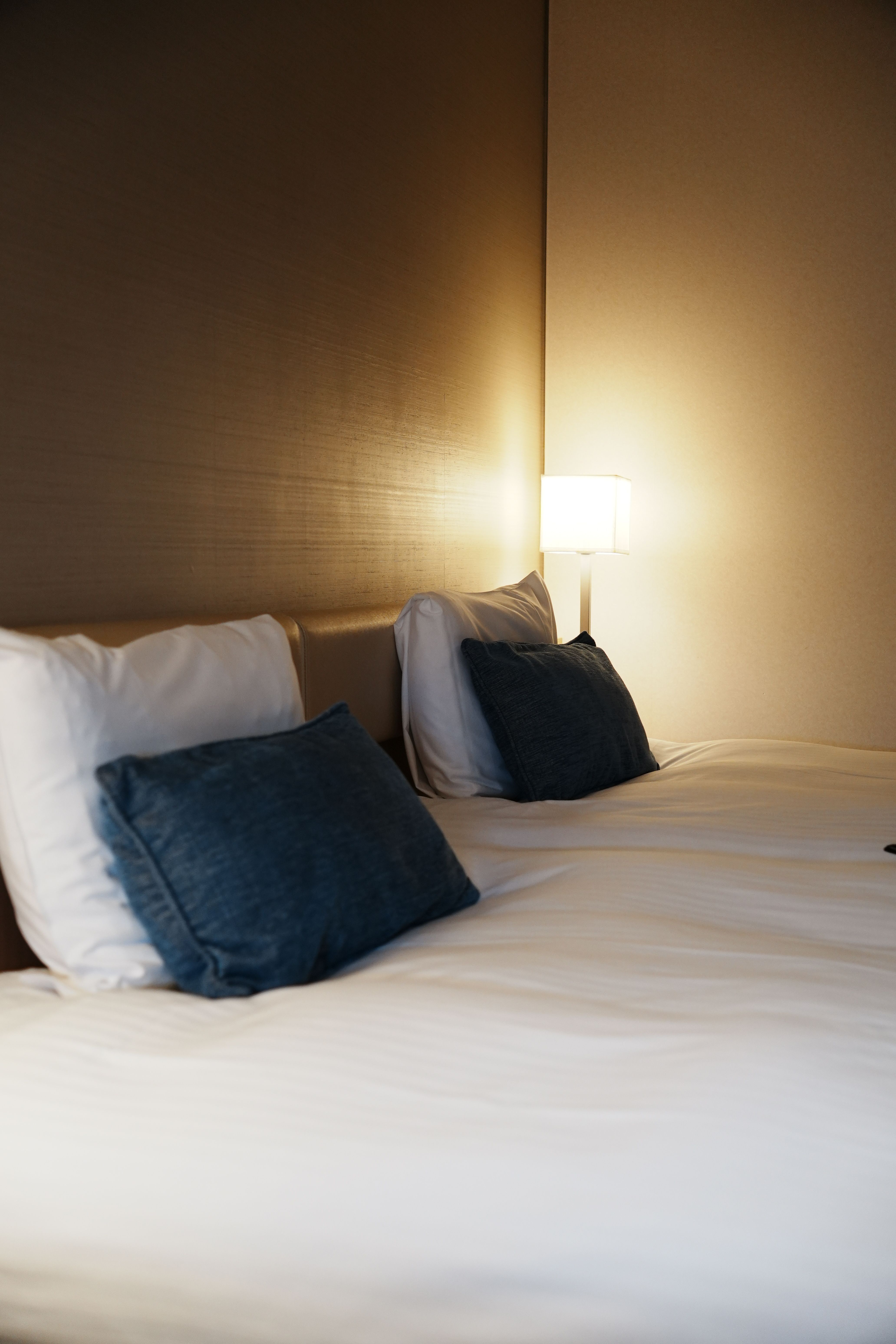 Elegant Hotel Room with Cozy Robe on Bed · Free Stock Photo