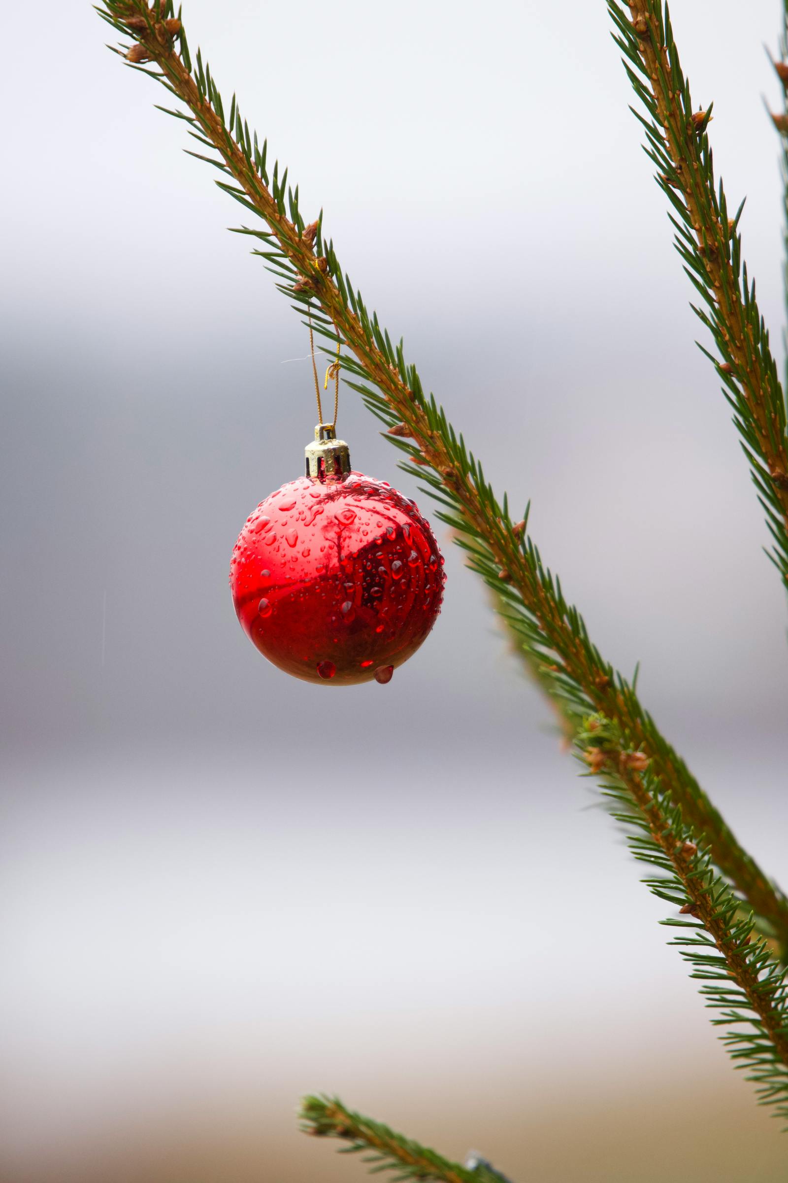 Simple Christmas Photos, Download The BEST Free Simple Christmas Stock ...