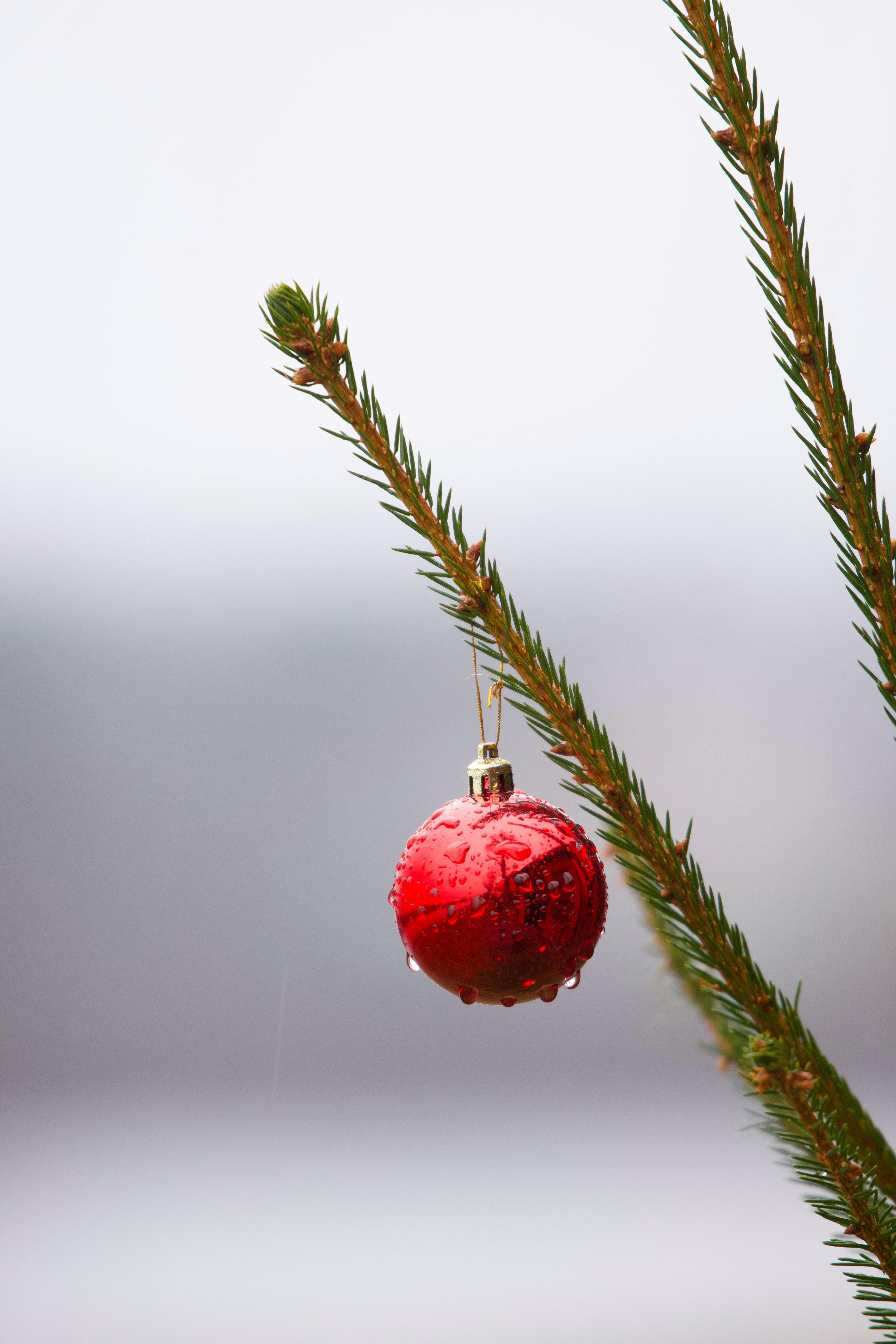 6 Days Till Christmas Photos, Download The BEST Free 6 Days Till ...