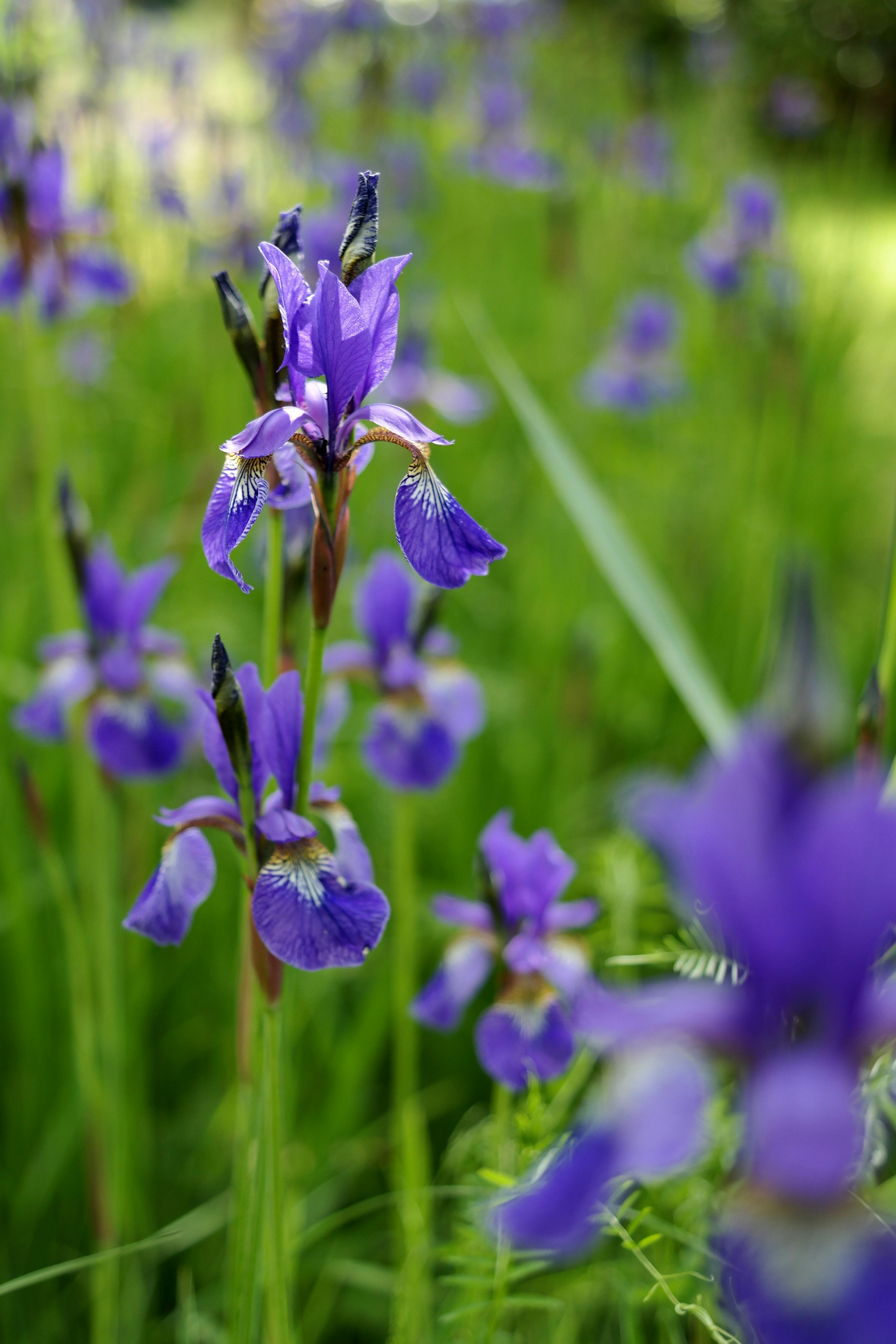 Periods Photos, Download The BEST Free Periods Stock Photos & HD Images