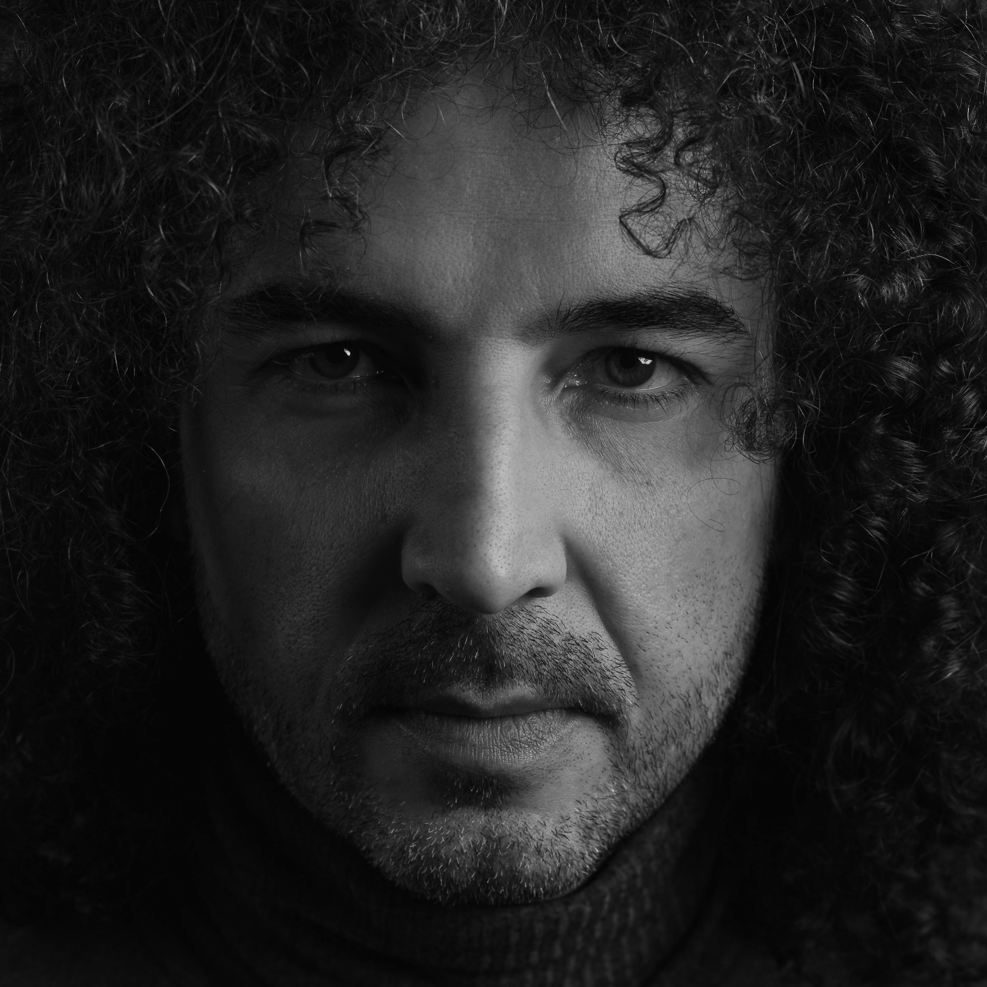 Black And White Wolf Photos, Download The BEST Free Black And White ...