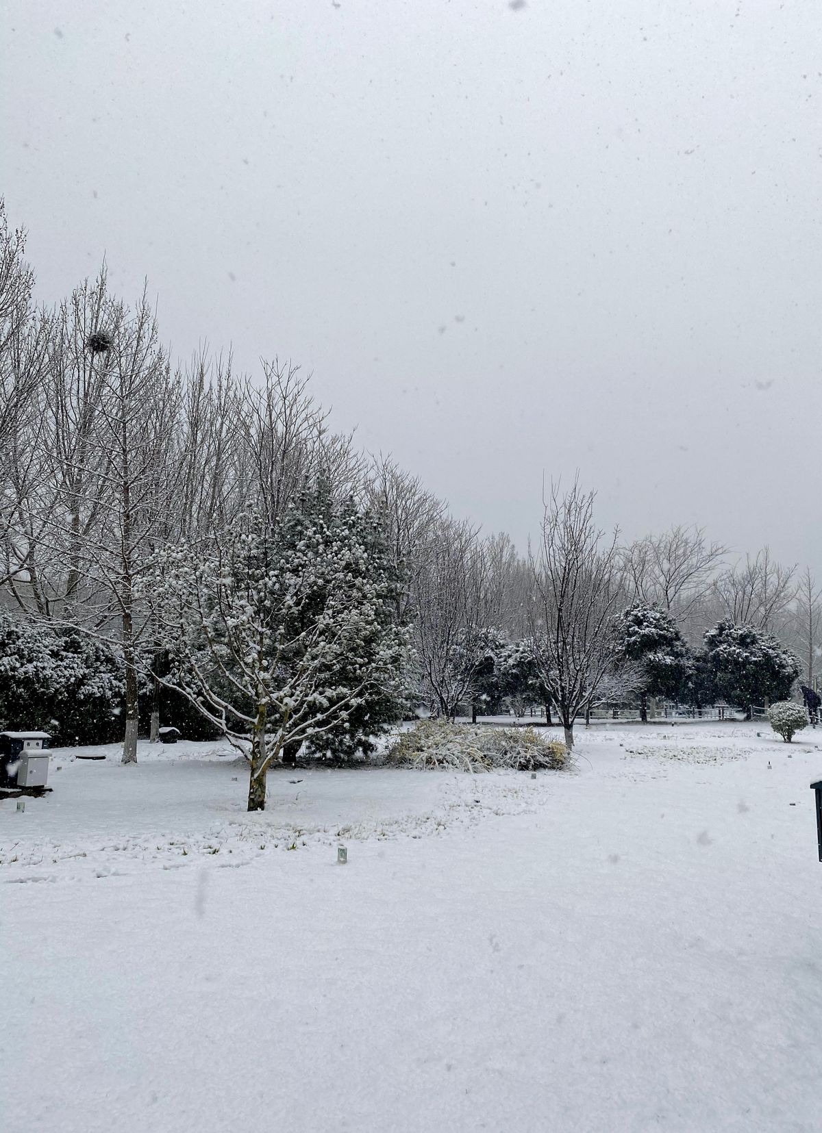 Snow Day Photos, Download The BEST Free Snow Day Stock Photos & HD Images