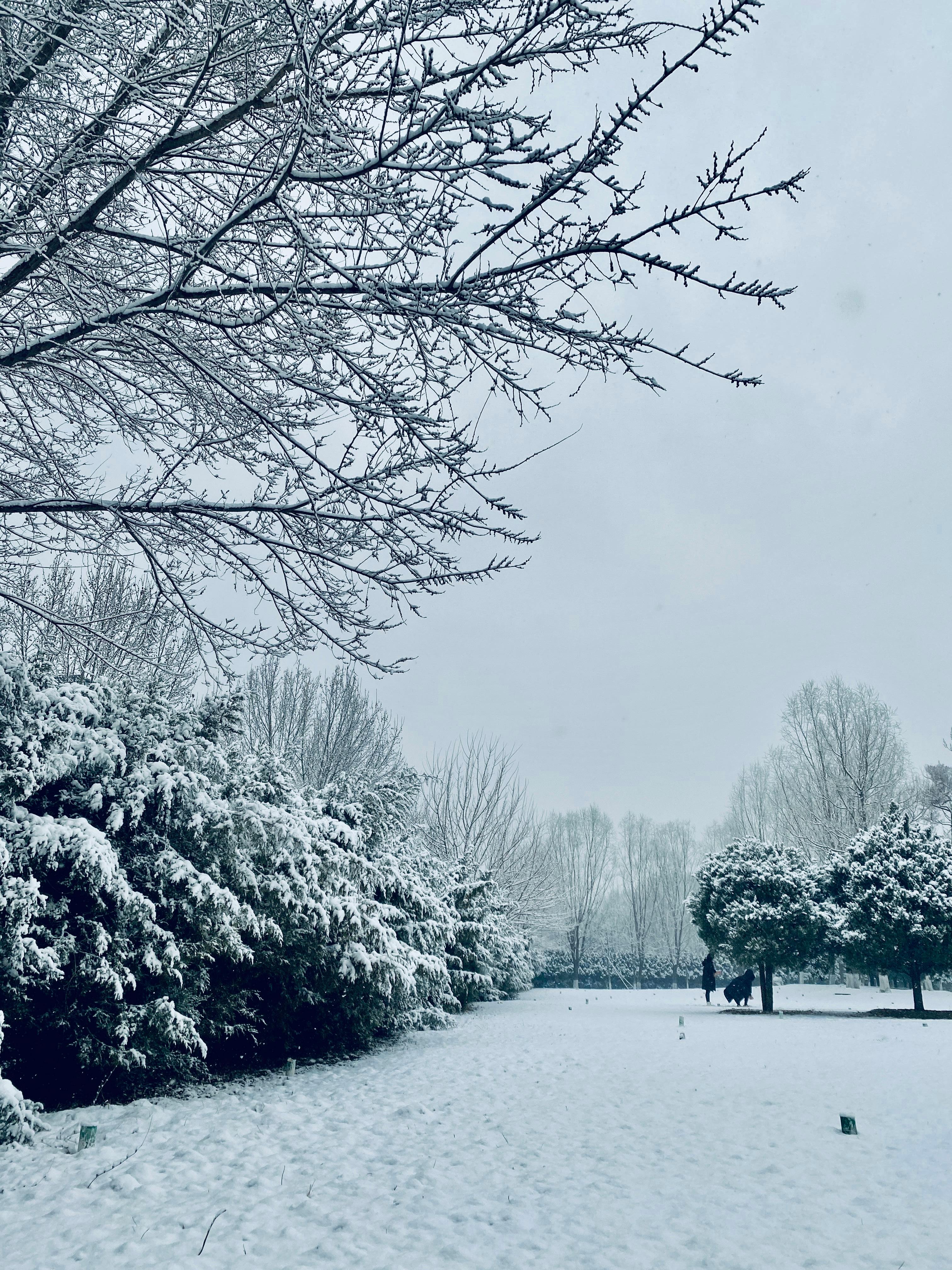 December Landscape Photos, Download The BEST Free December Landscape ...