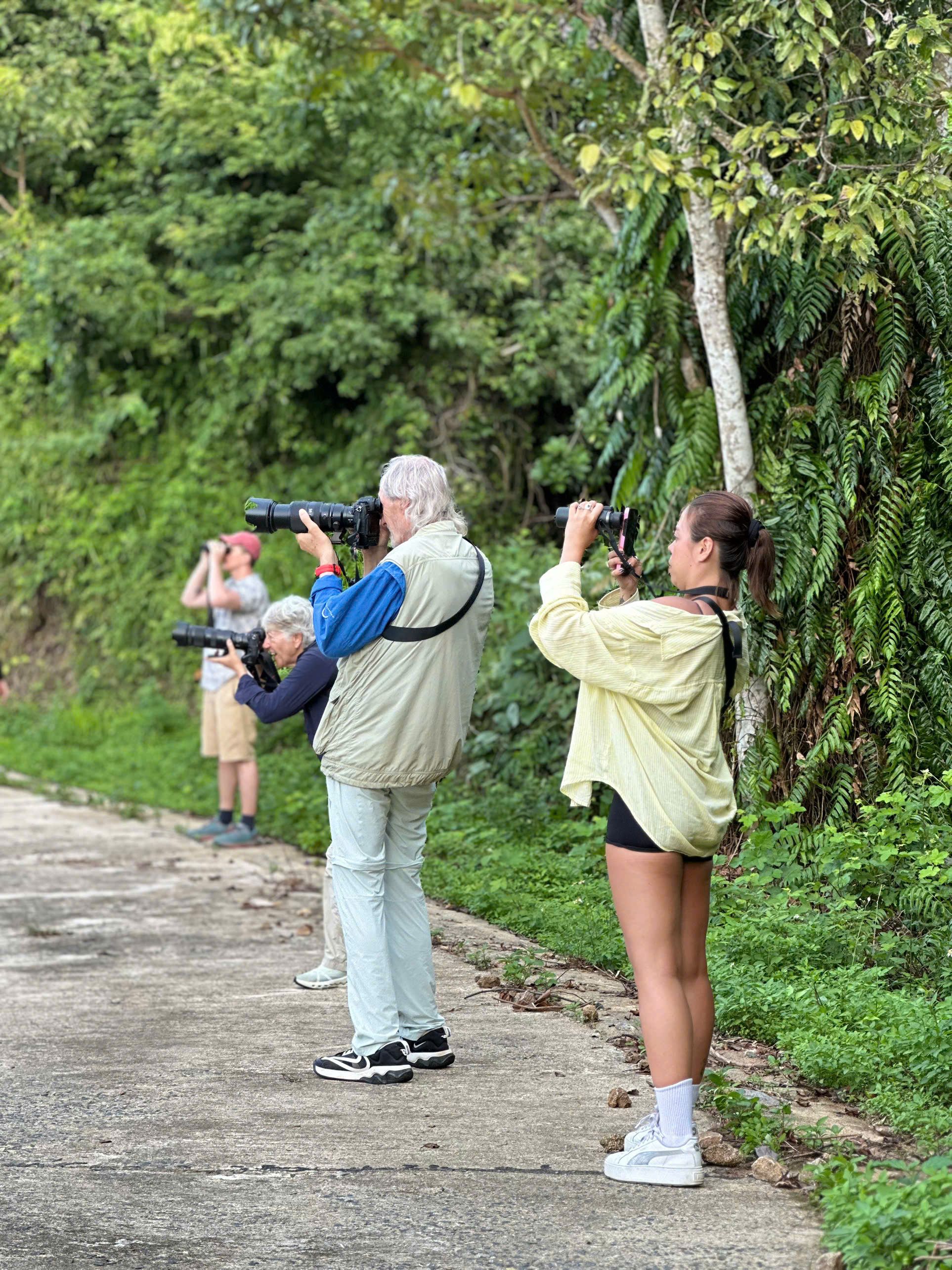 Nature Photographers Capturing Scenic Views Outdoors · Free Stock Photo
