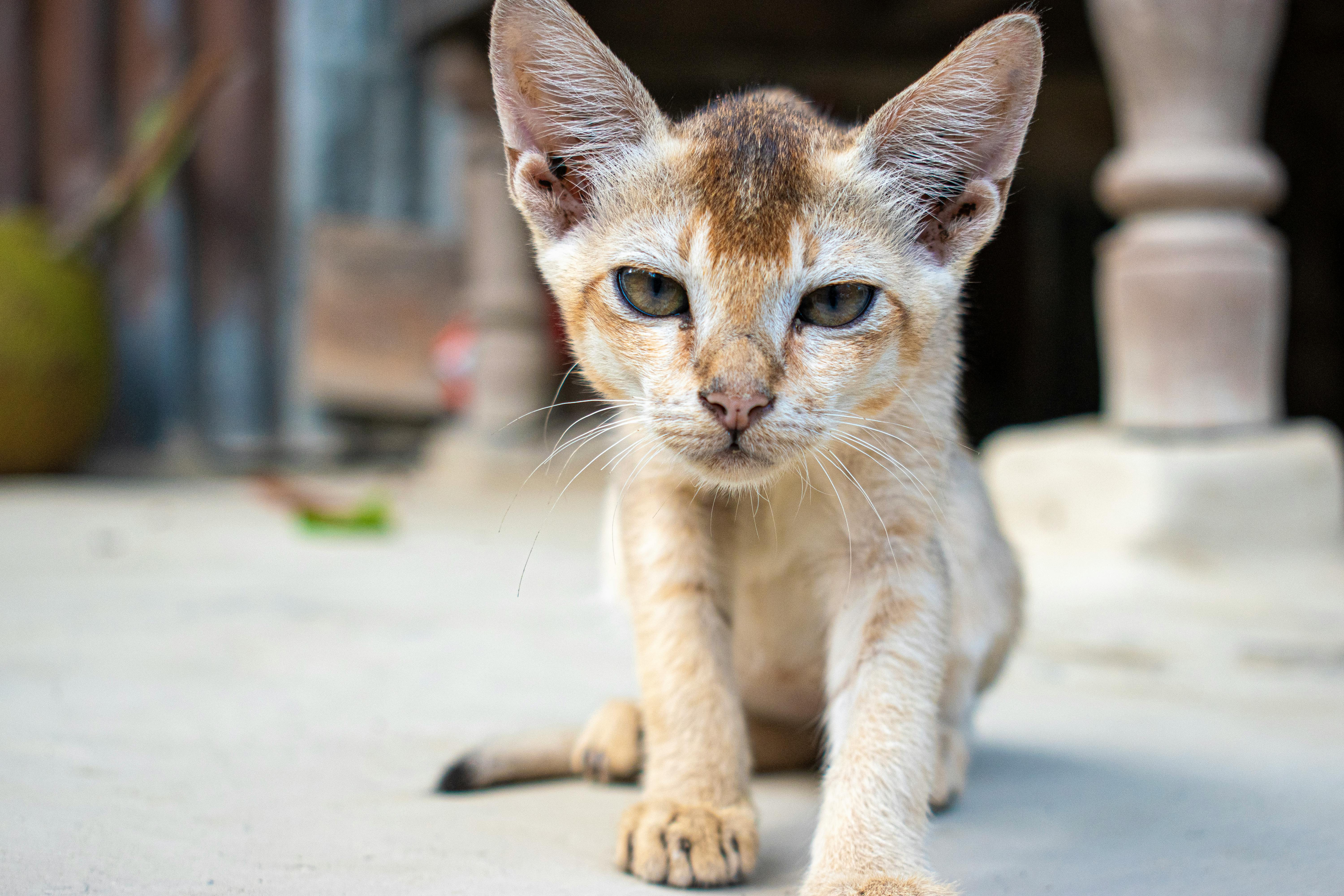 Xbox Pfp Funny Photos, Download The BEST Free Xbox Pfp Funny Stock ...