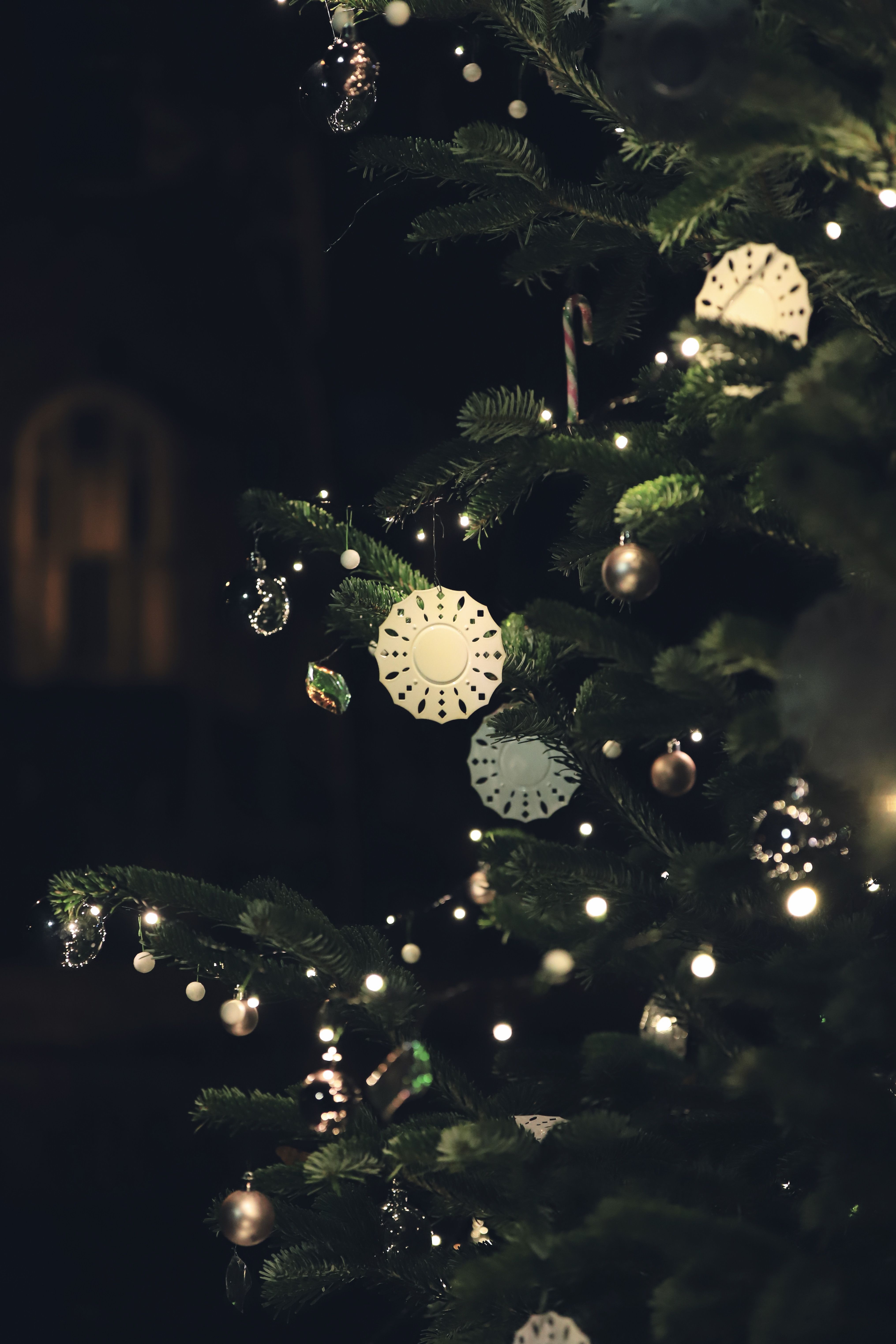 Nighttime Christmas Tree with Ornaments · Free Stock Photo