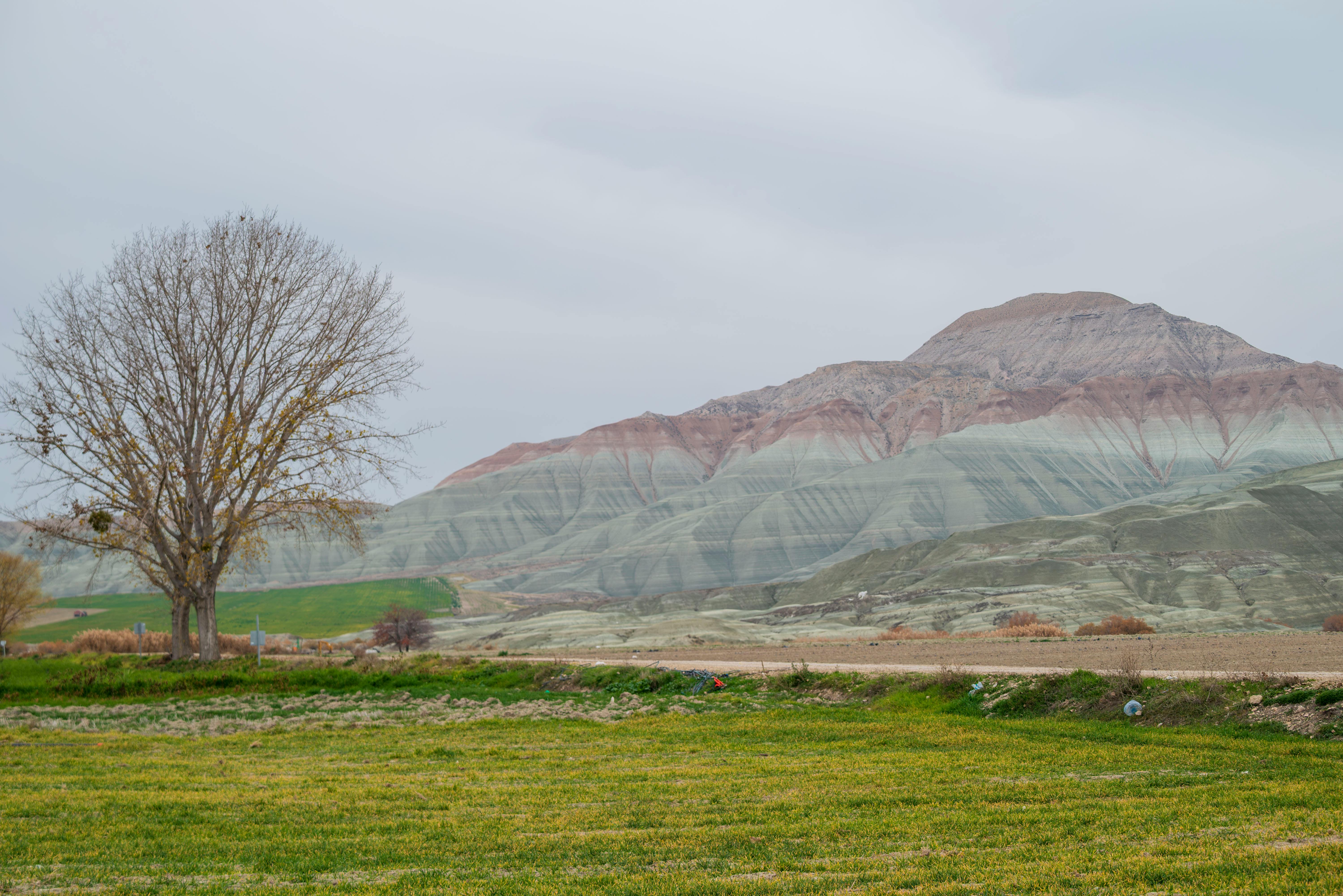 Topography Photos, Download The BEST Free Topography Stock Photos & HD ...