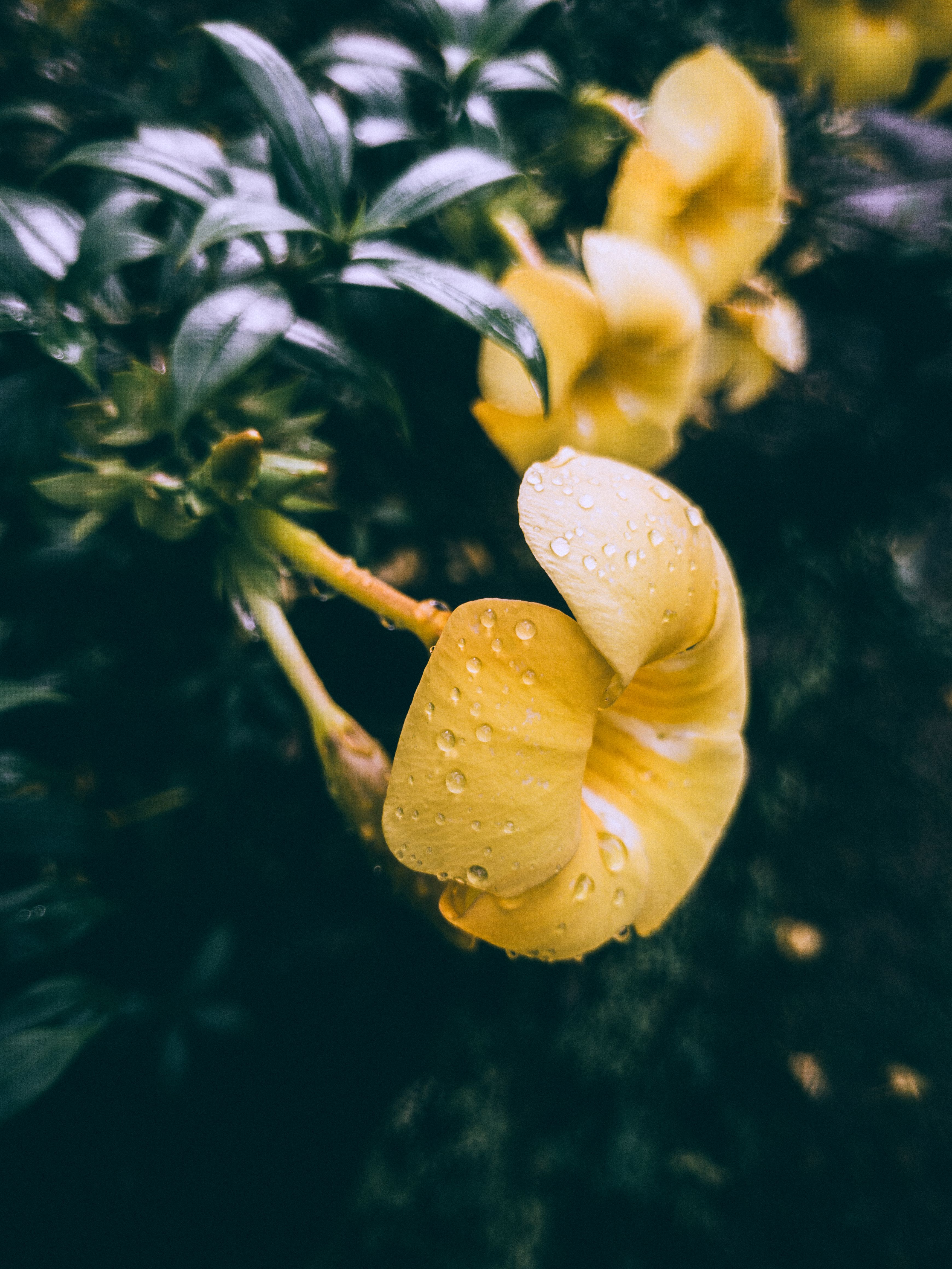After+Iamge Photos, Download The BEST Free After+Iamge Stock Photos ...