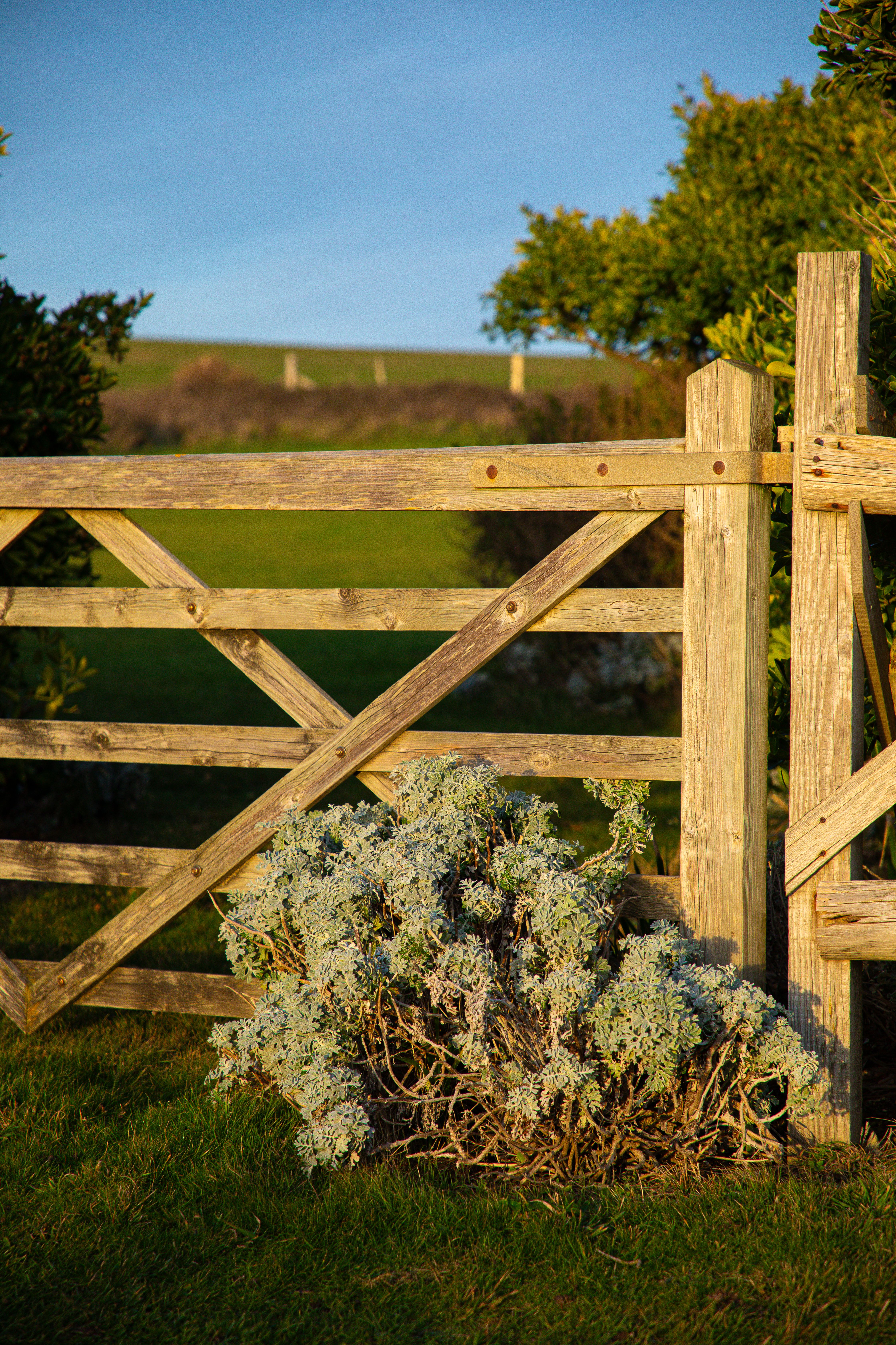 Rustic Wooden Gate in Eastbourne Countryside · Free Stock Photo