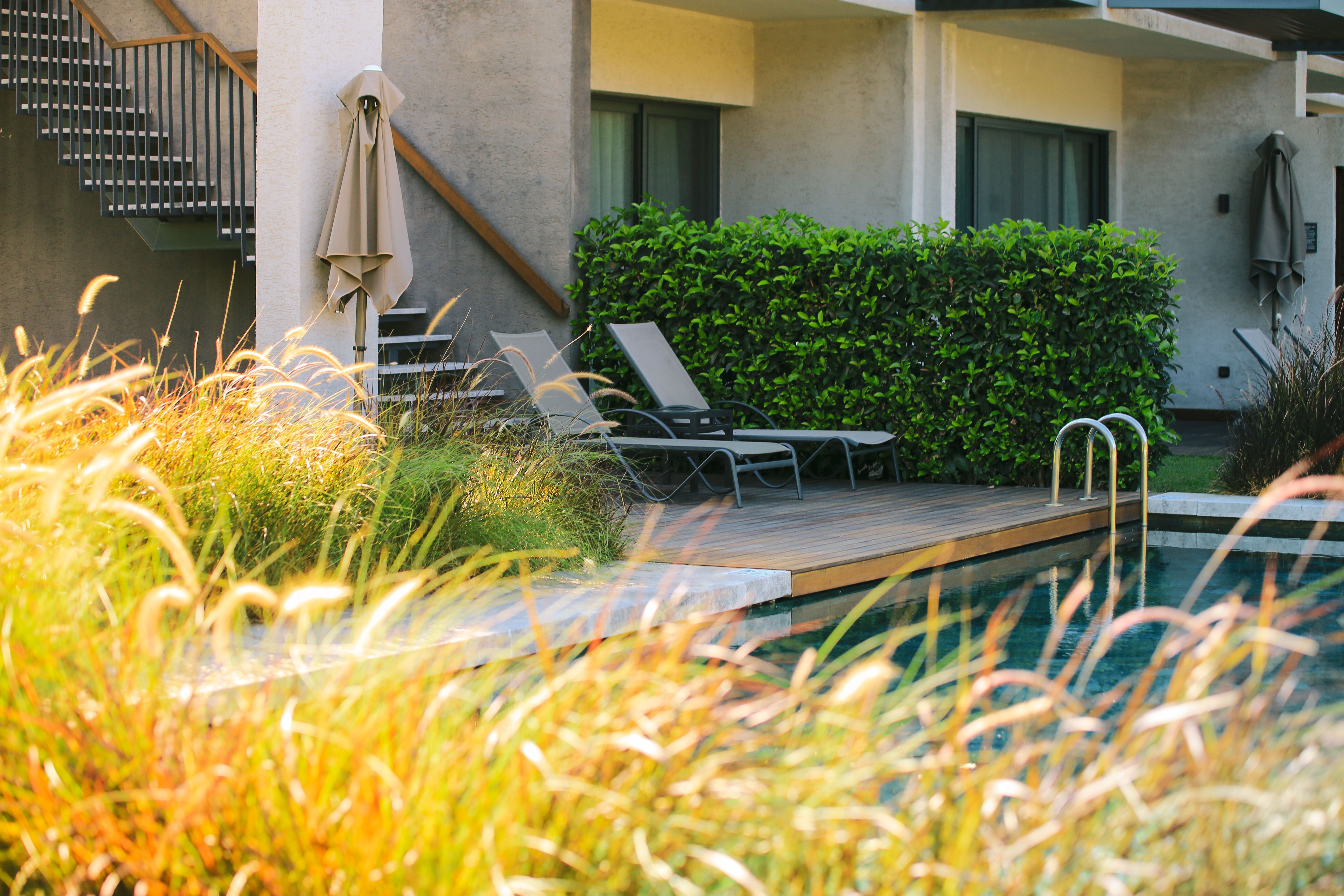 Tranquil Poolside Retreat at Modern Resort · Free Stock Photo
