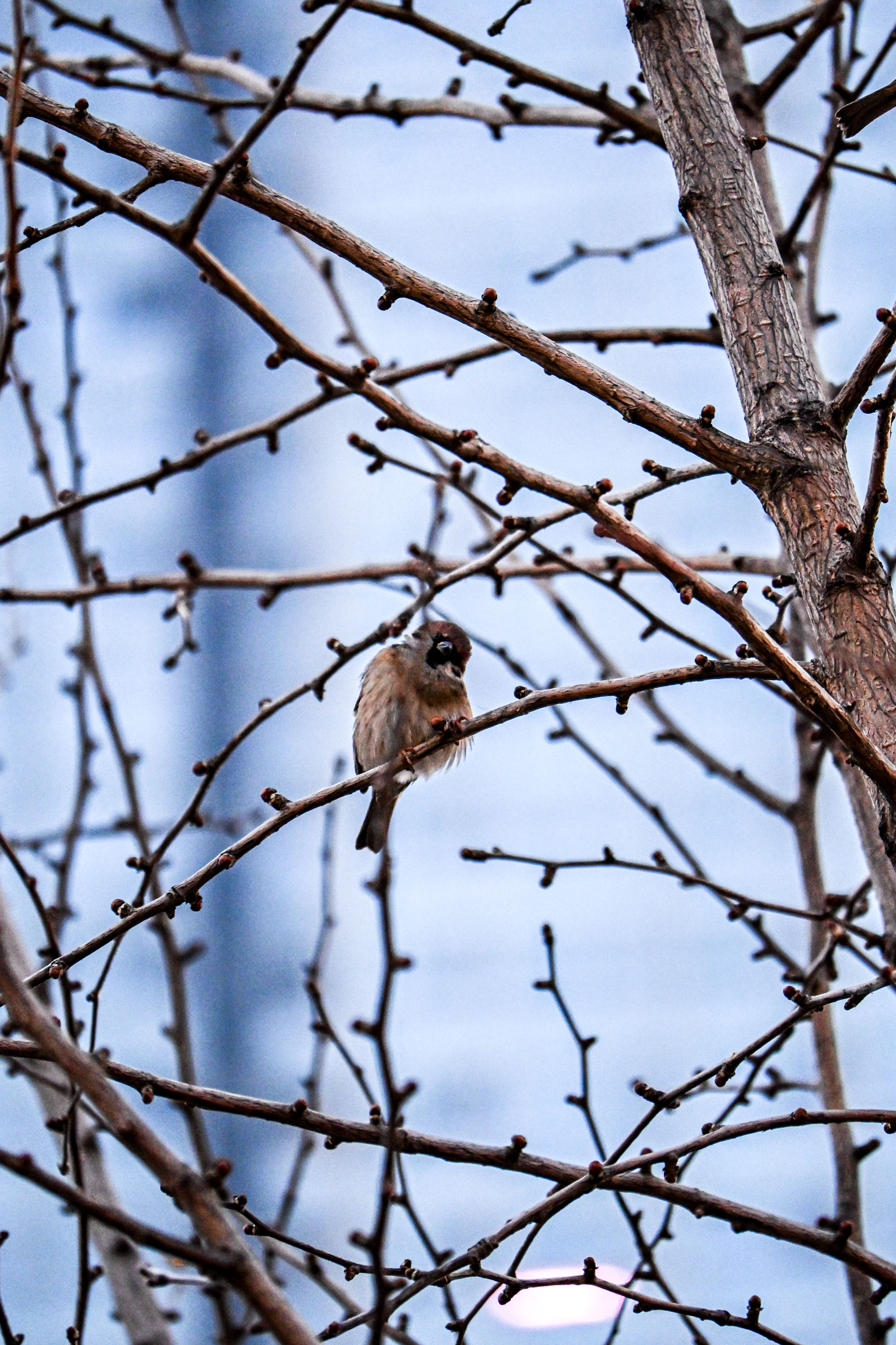 Teams Winter Background Photos, Download The BEST Free Teams Winter ...
