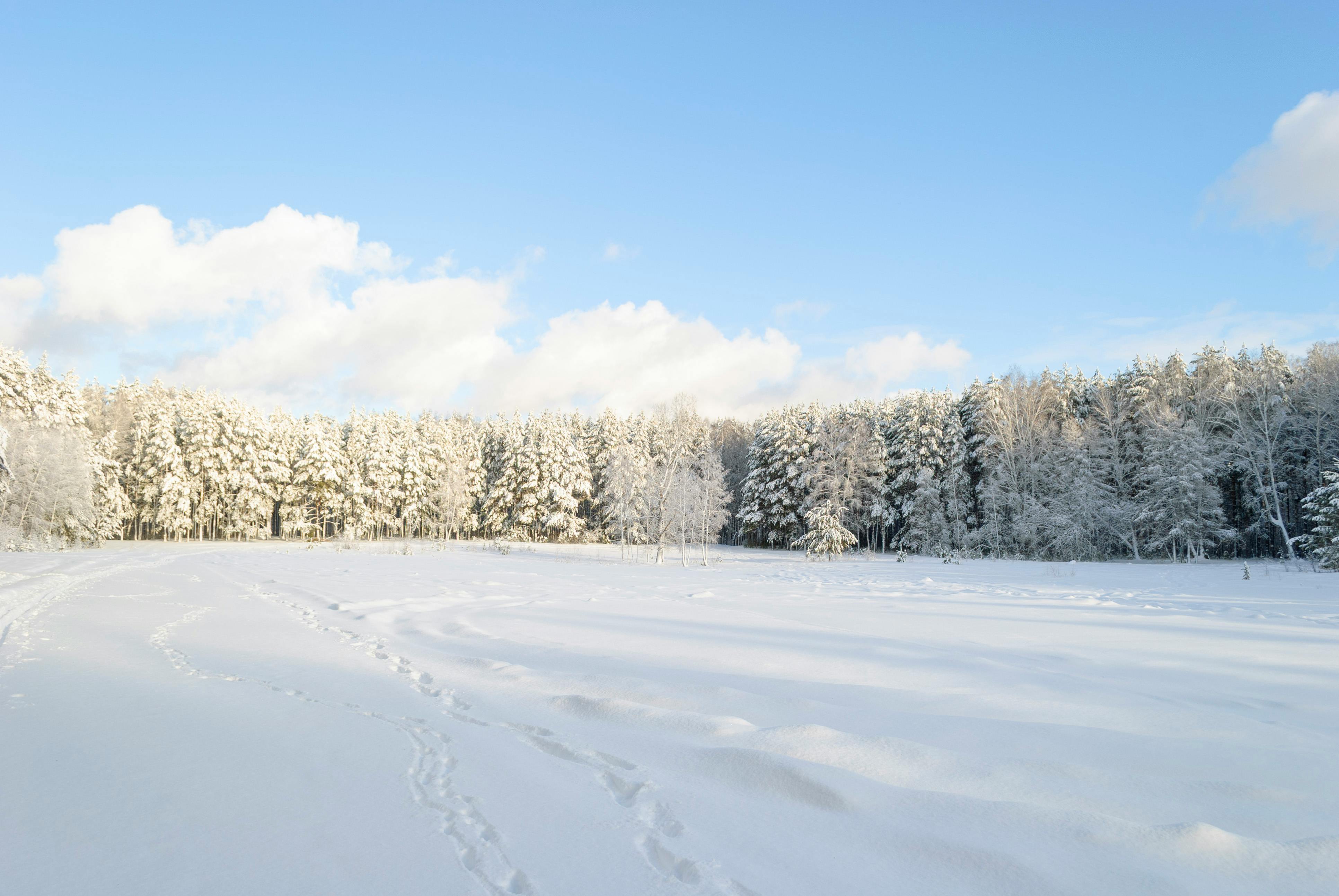 January Vibes Photos, Download The BEST Free January Vibes Stock Photos ...