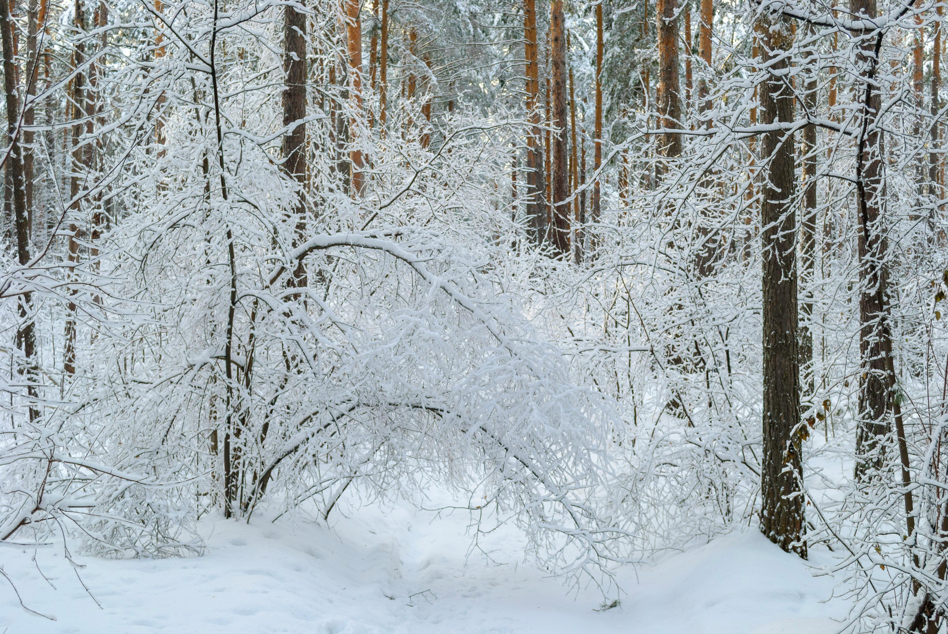 January Vibes Photos, Download The BEST Free January Vibes Stock Photos ...