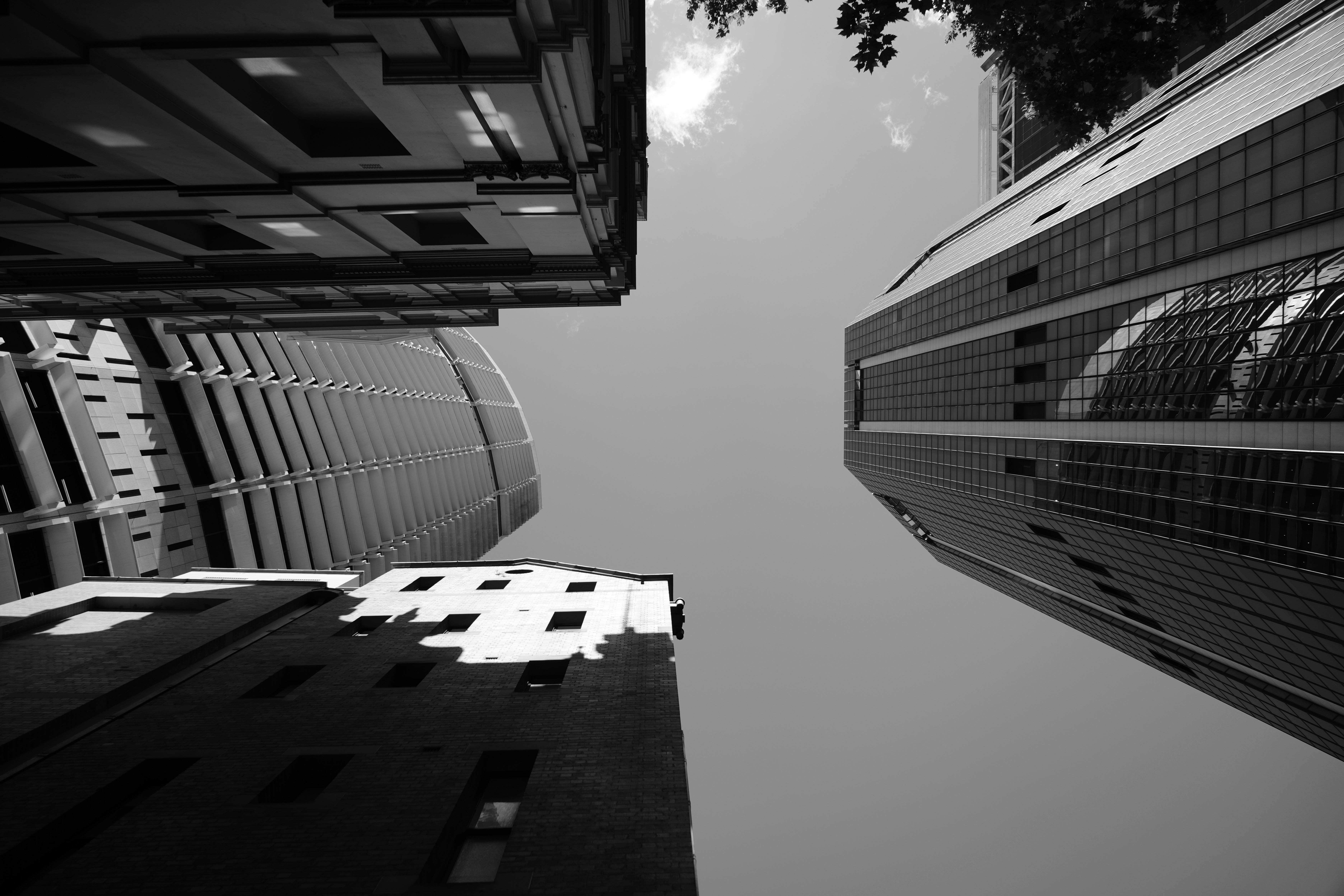 Real+Gyatt+Pics Photos, Download The BEST Free Real+Gyatt+Pics Stock ...