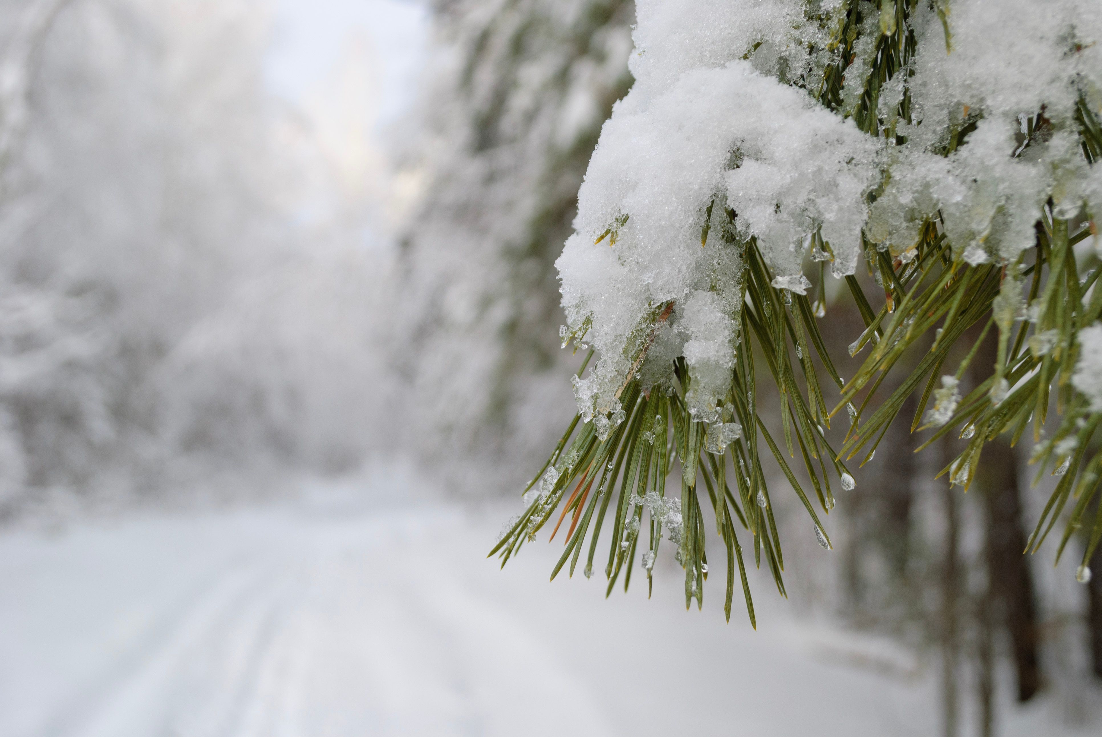 Cool White Backgrounds Photos, Download The BEST Free Cool White ...