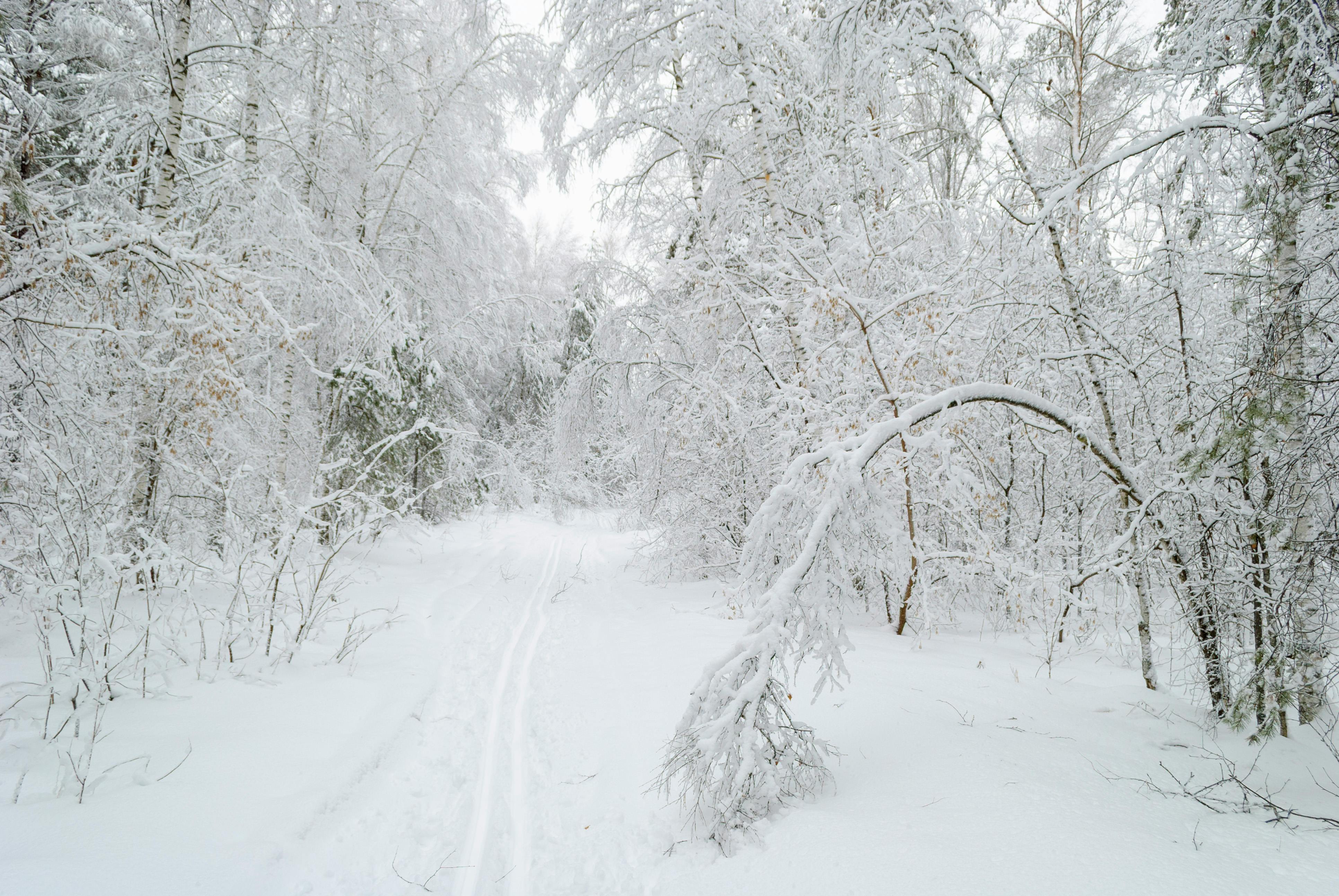 Snow+Bunny+Girls Photos, Download The BEST Free Snow+Bunny+Girls Stock ...