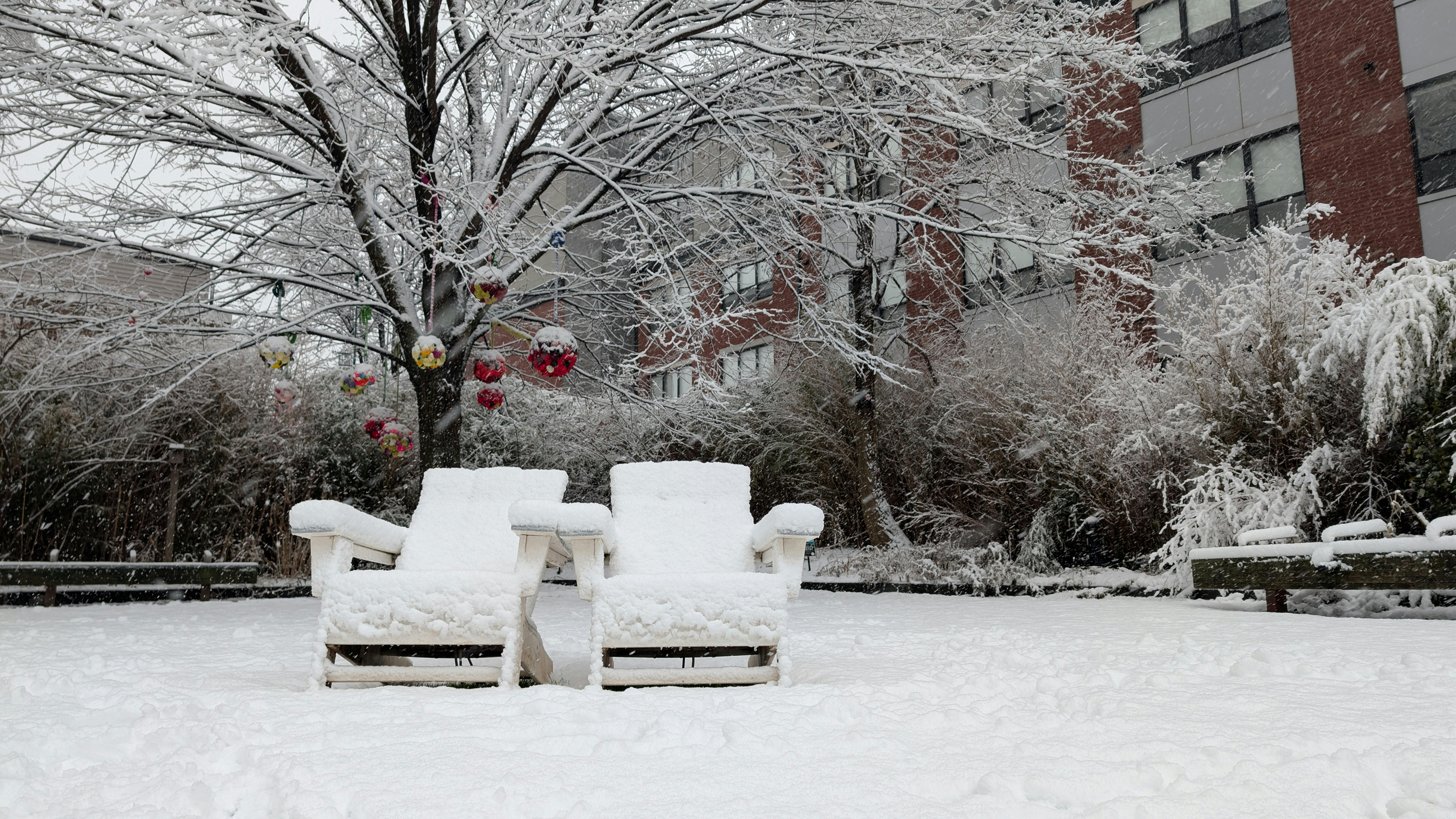 Snow+Bunny+Girls Photos, Download The BEST Free Snow+Bunny+Girls Stock ...