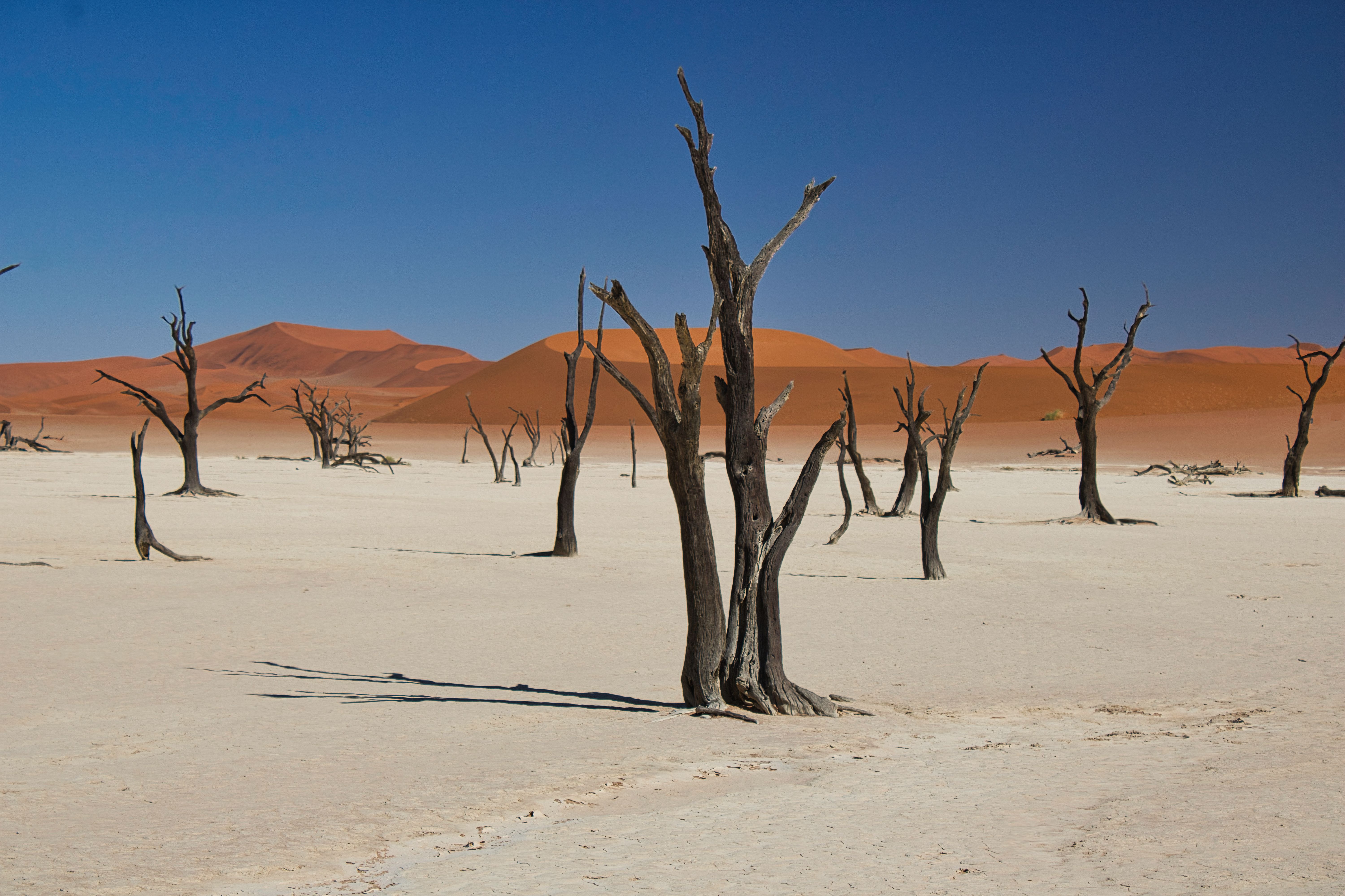 Barren Landscape Photos, Download The BEST Free Barren Landscape Stock ...