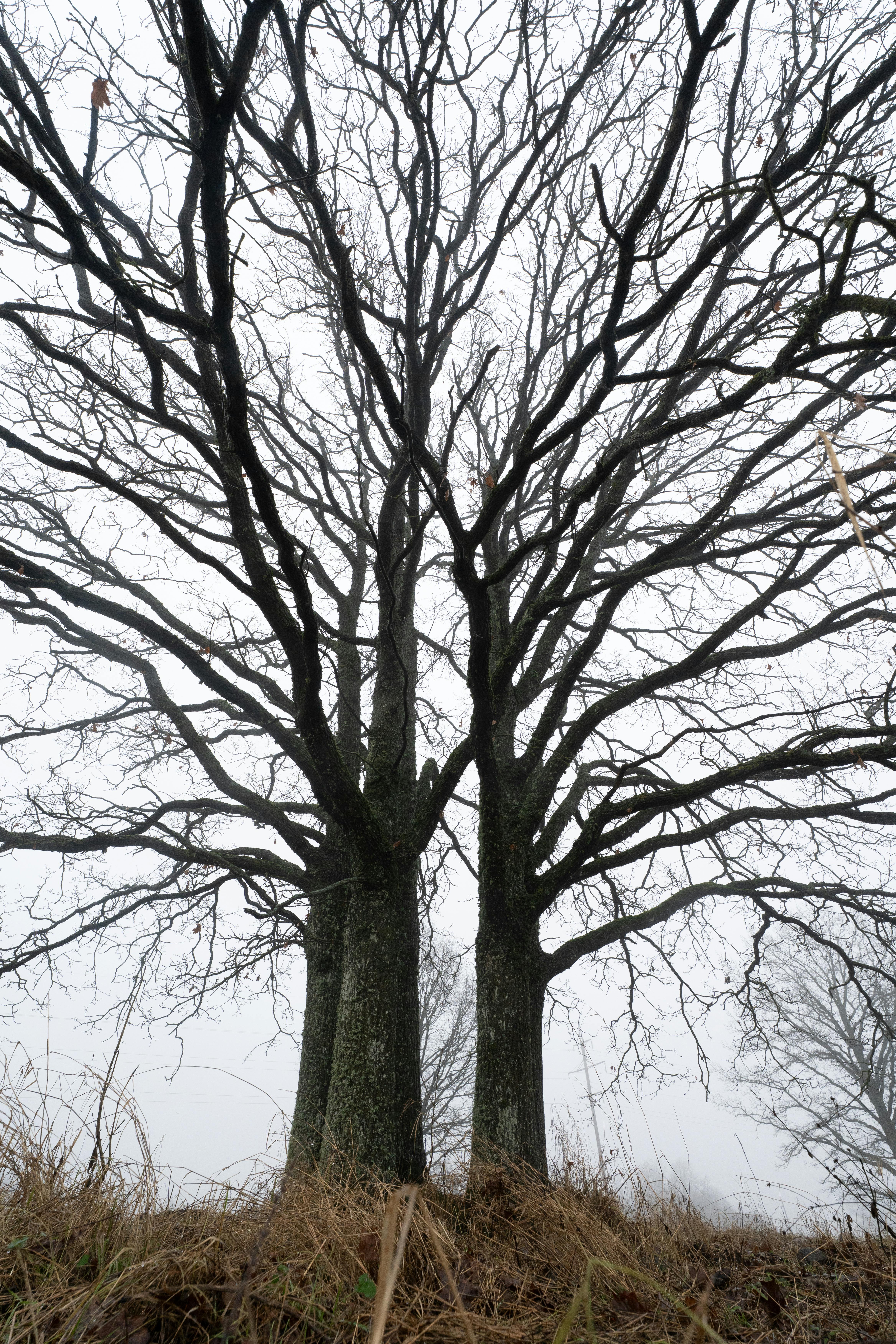 Beabadobe Wallpaper Photos, Download The BEST Free Beabadobe Wallpaper ...