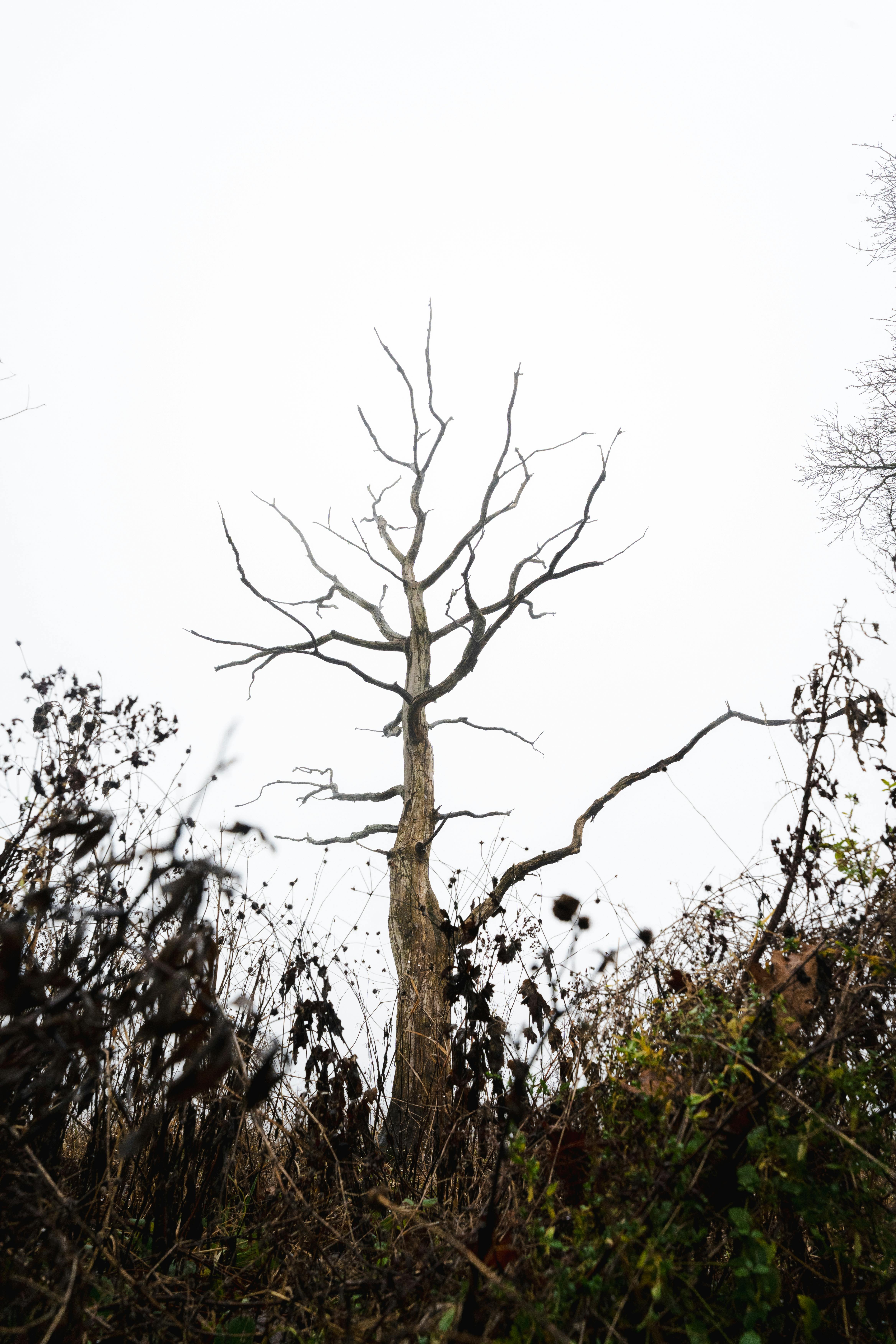 Beabadobe Wallpaper Photos, Download The BEST Free Beabadobe Wallpaper ...