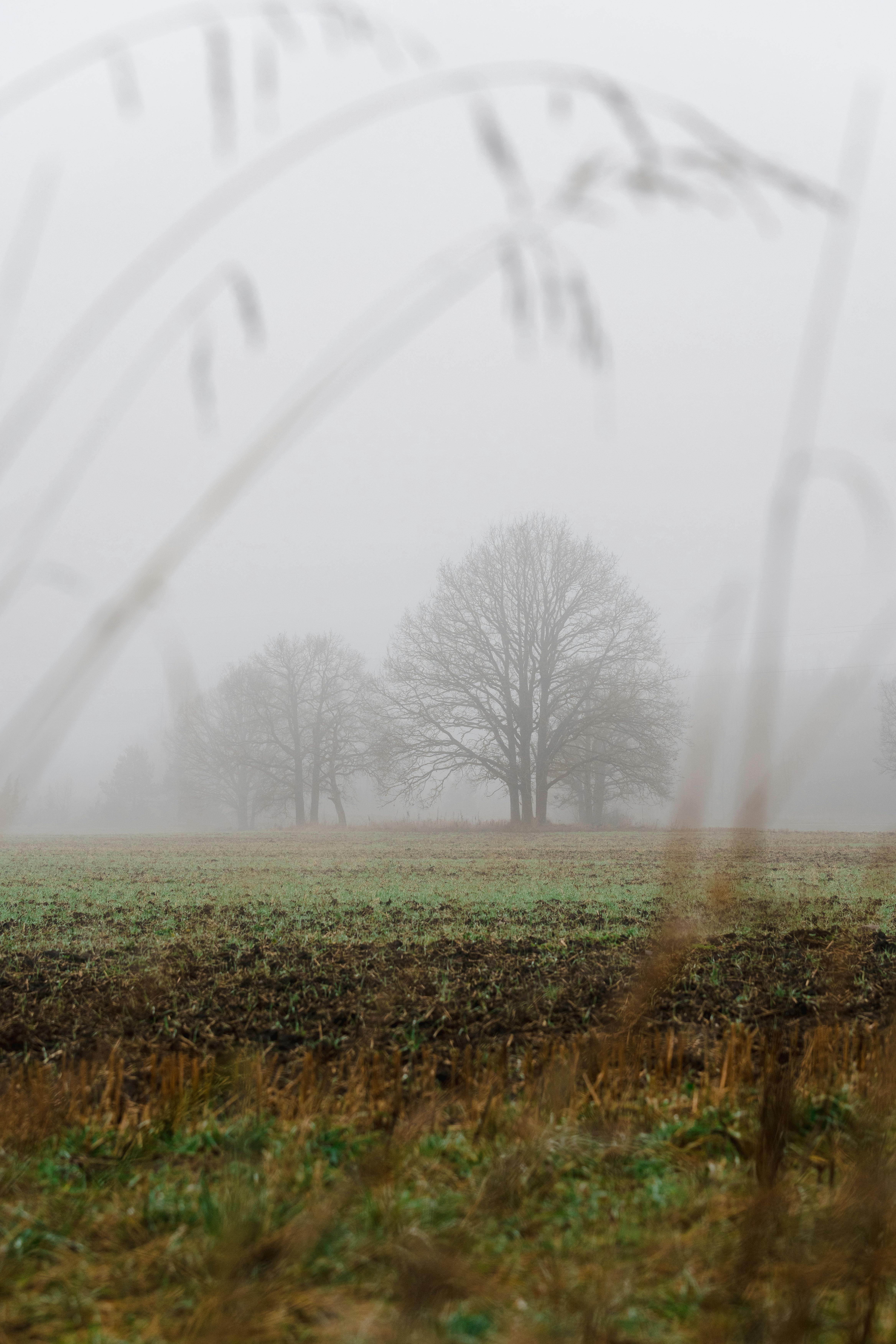 Wallpaper Lenovo Loq Photos, Download The BEST Free Wallpaper Lenovo ...